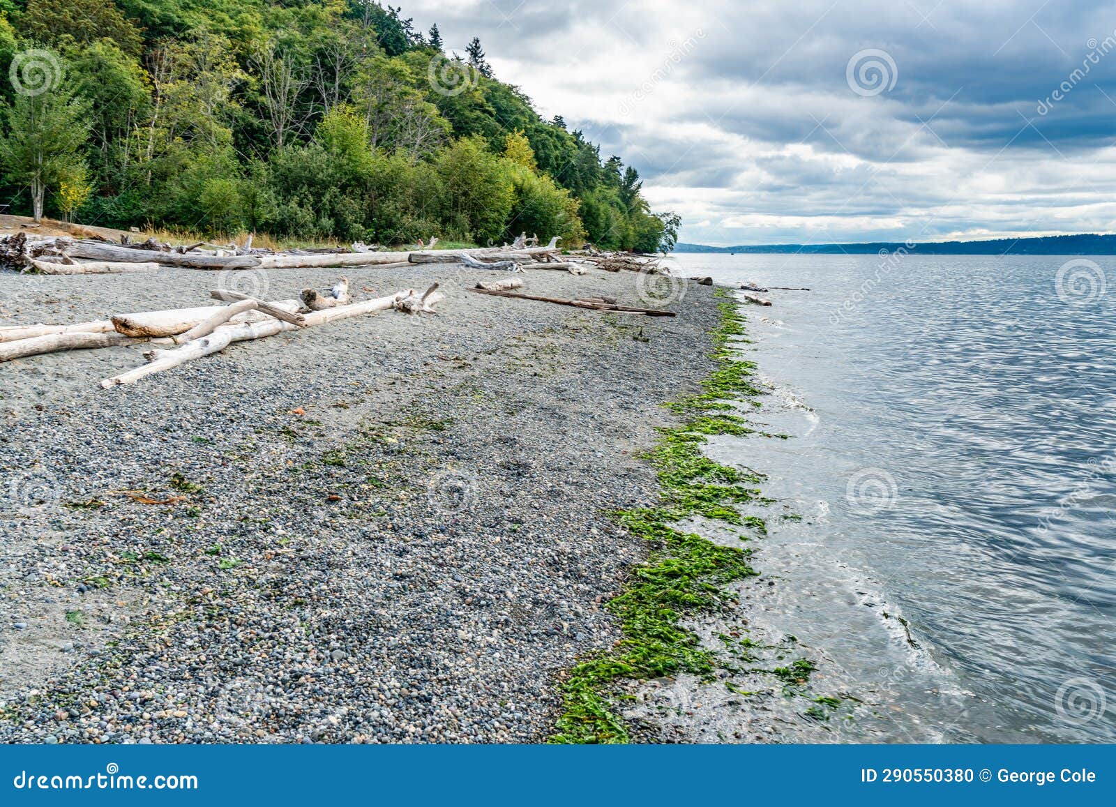 Seahurst Beach Shoreline 3 stock photo. Image of nature - 290550380