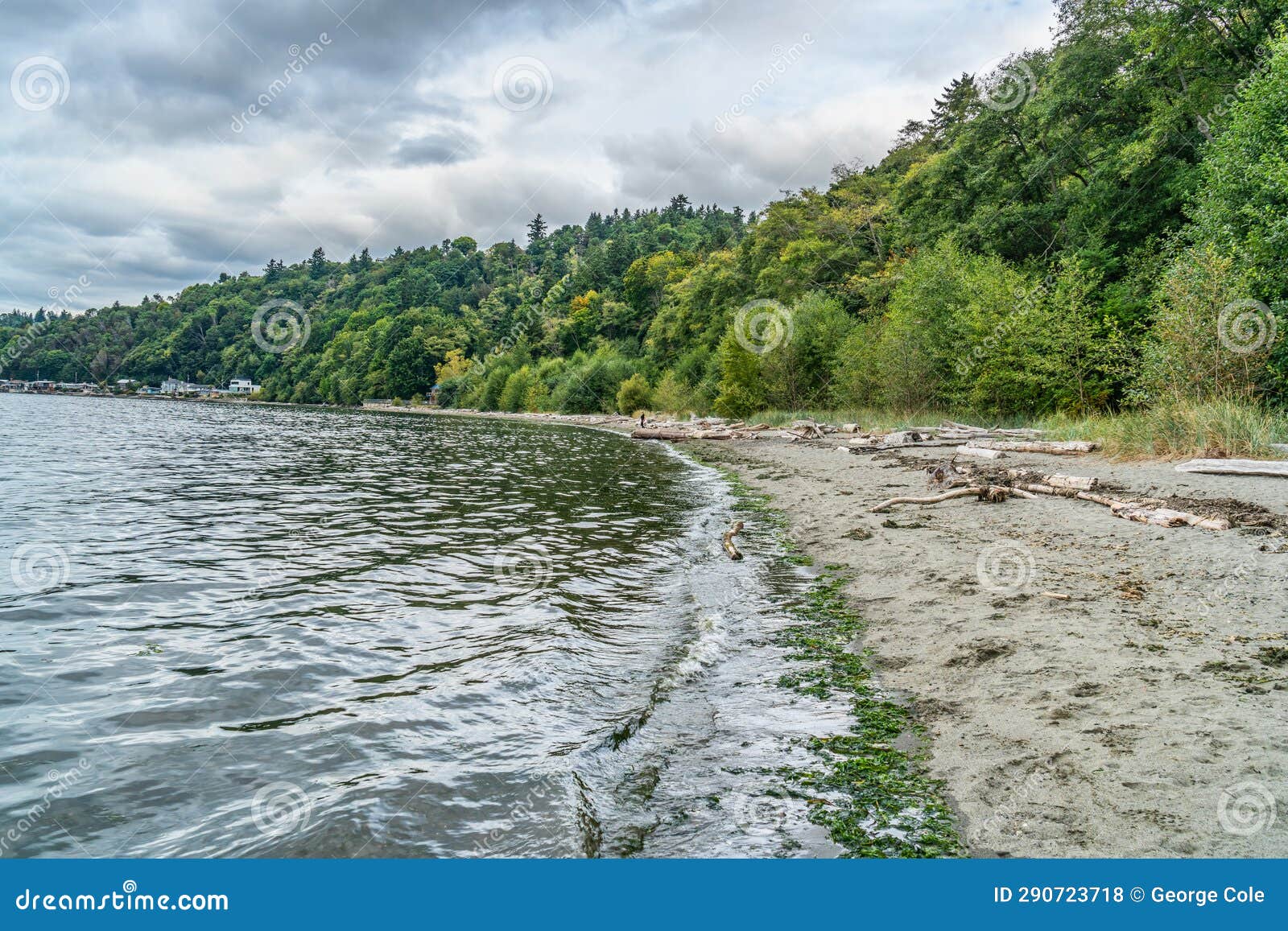 Seahurst Beach Shoreline 5 stock photo. Image of ocean - 290723718