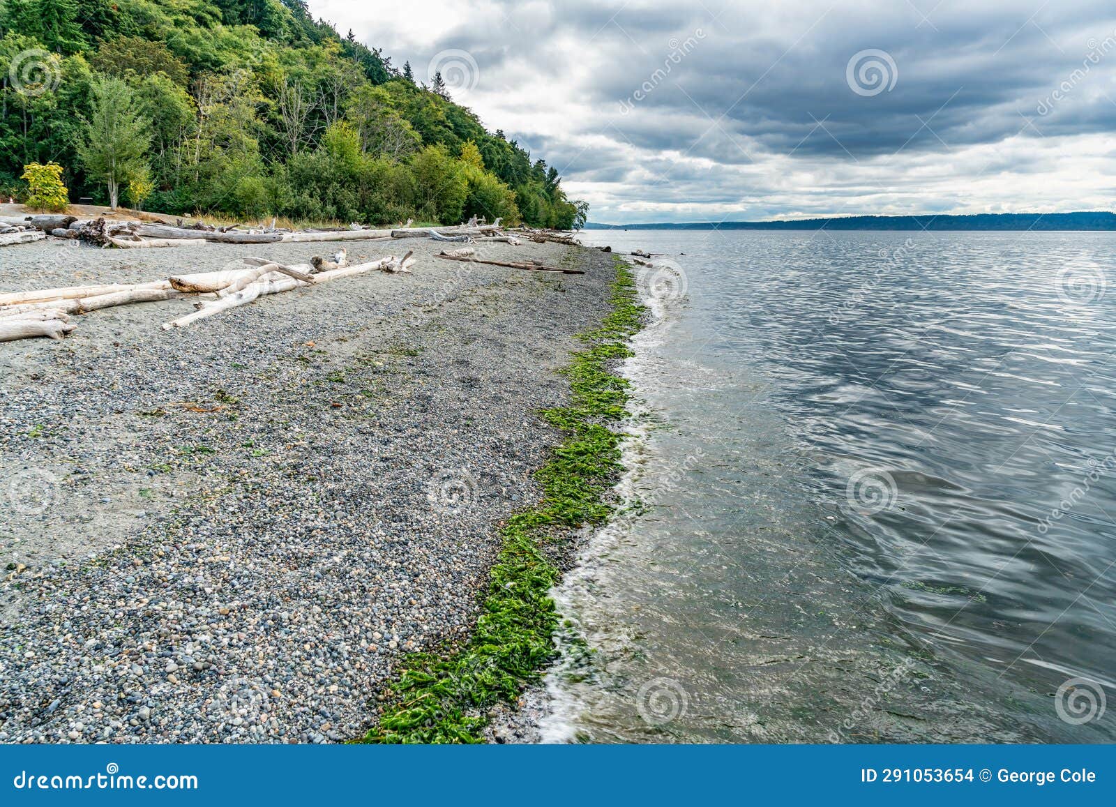 Seahurst Beach Shoreline 4 stock photo. Image of outdoors - 291053654