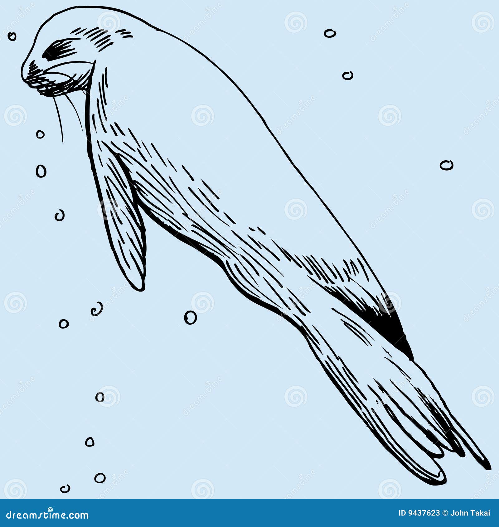 Seal stock vector. Illustration of graphic, flippers, vector - 9437623