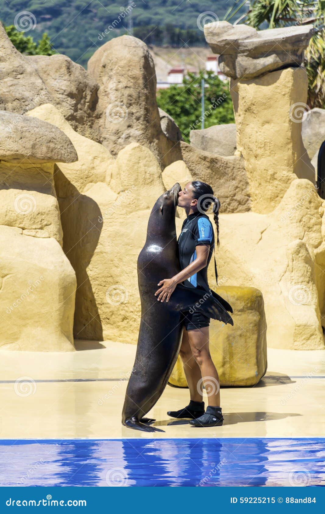 Seal at the Aquarium Hugging with the Trainer Editorial Image - Image ...