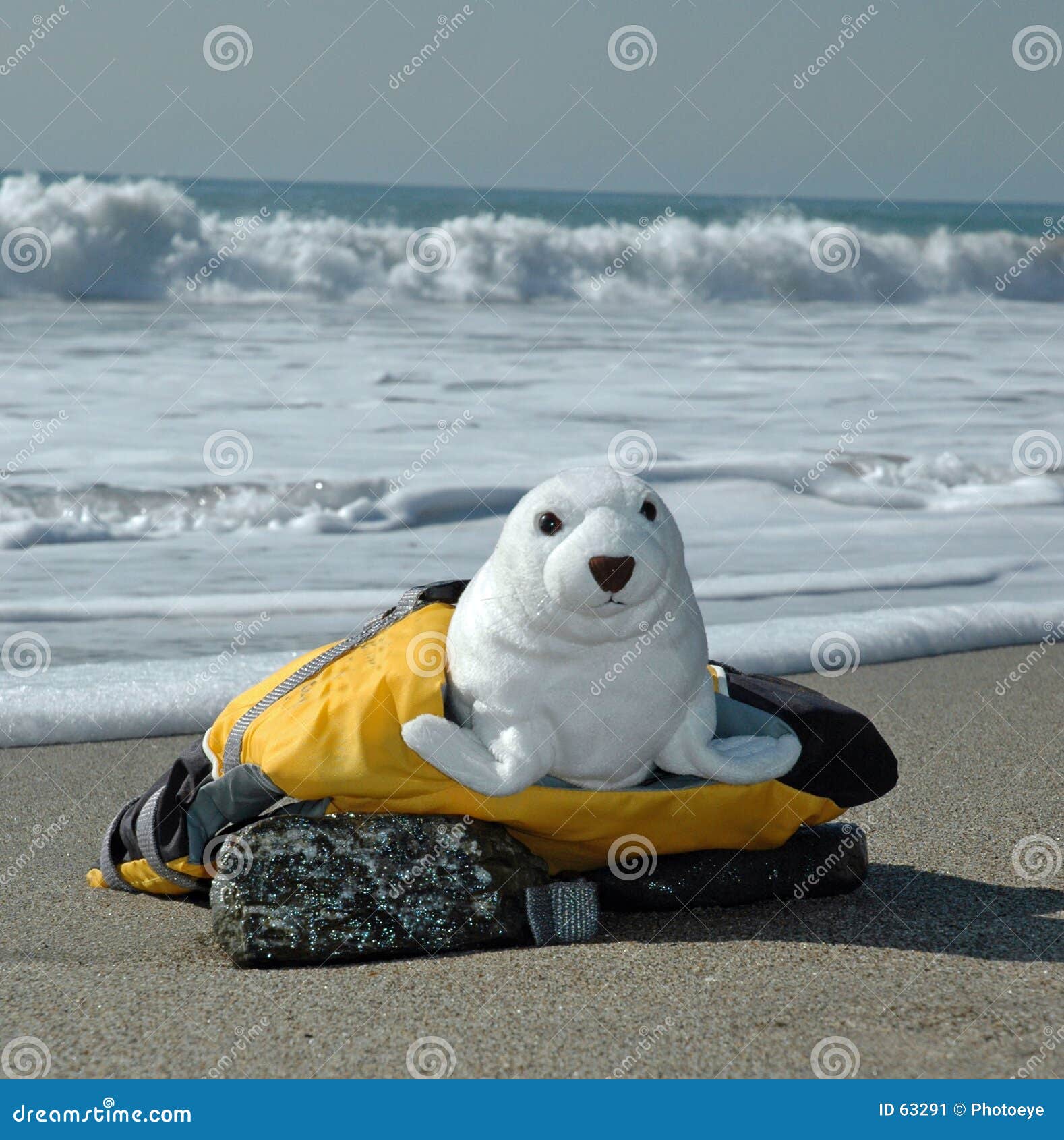 Seal in life jacket stock image. Image of child, white, ocean - 63291