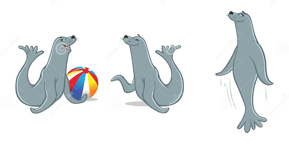 Seal poses stock vector. Illustration of circus, trained - 23512522