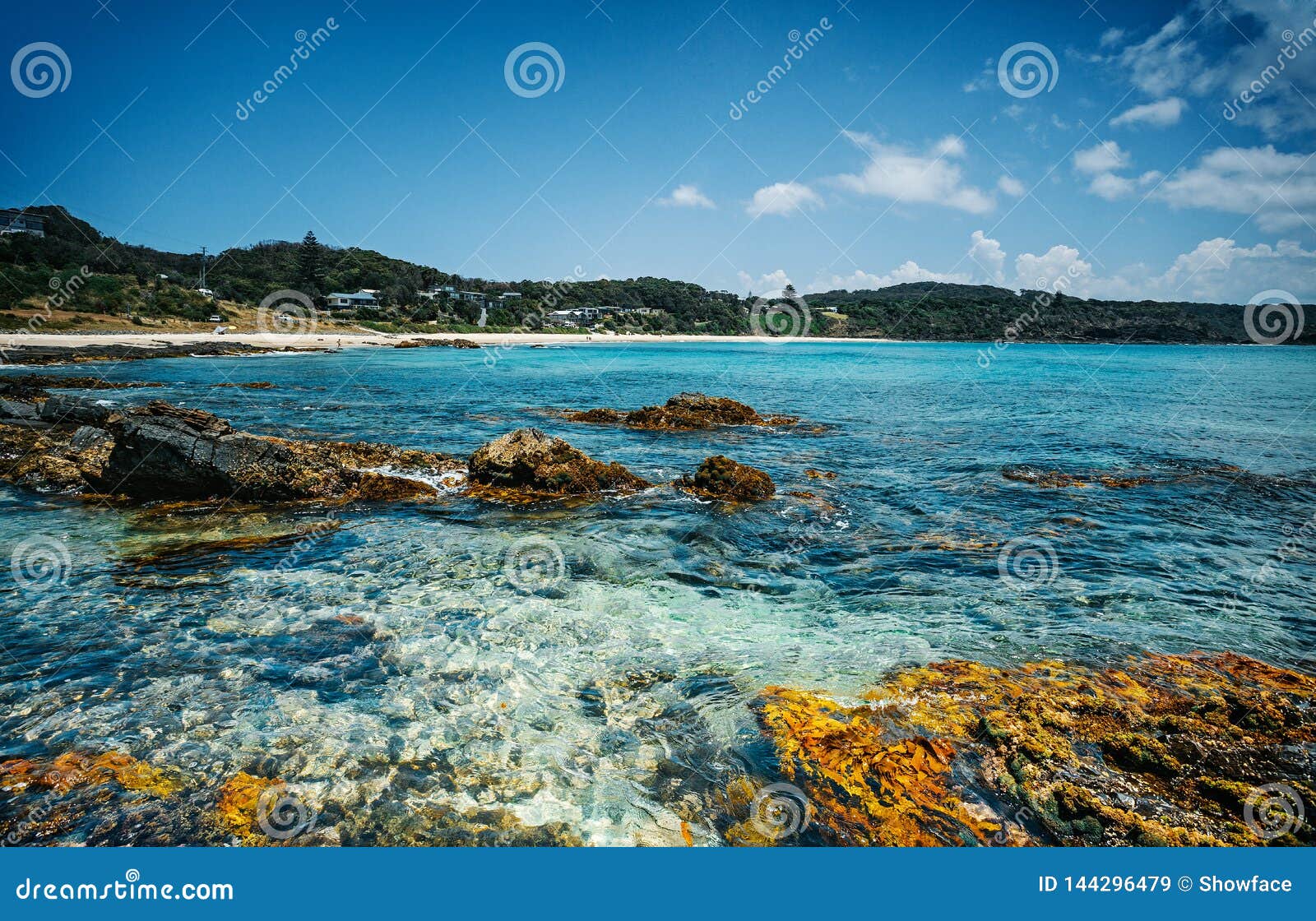 Seal Rocks Australia stock image. Image of salty, beautiful - 144296479
