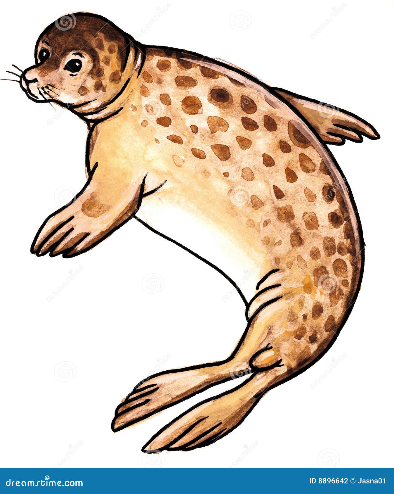 Transparent Seal Animal