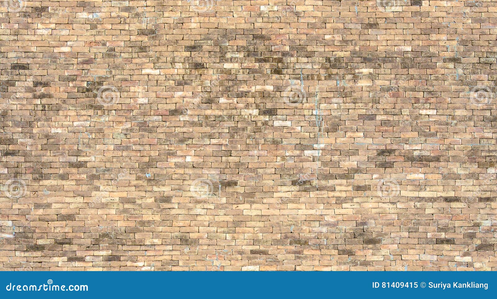 Seam less Old Brick Wall Texture Map Stock Image - Image of design ...