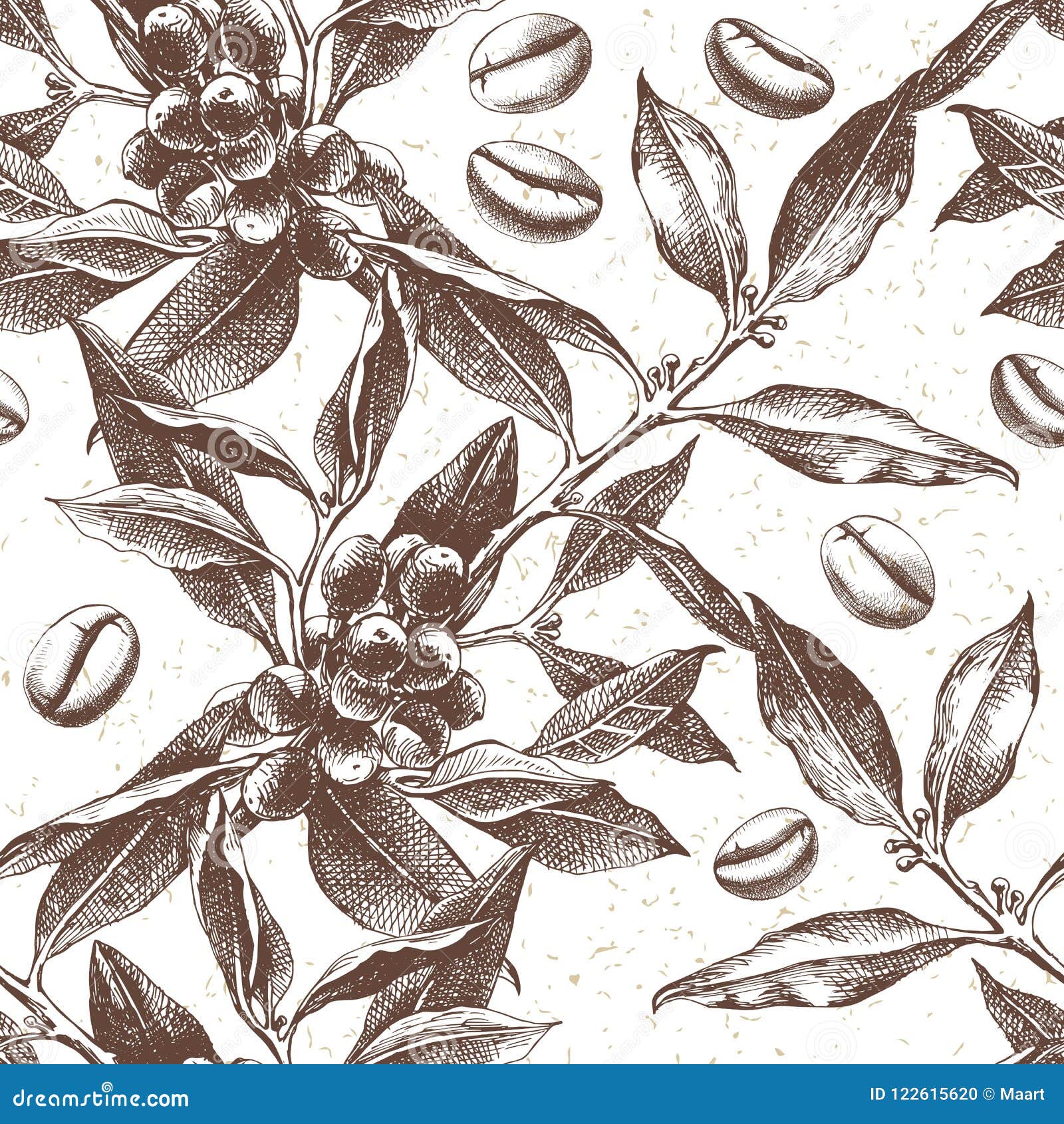 Coffee Plant Illustration, Drawing, Engraving, Ink, Line Art, Vector ...