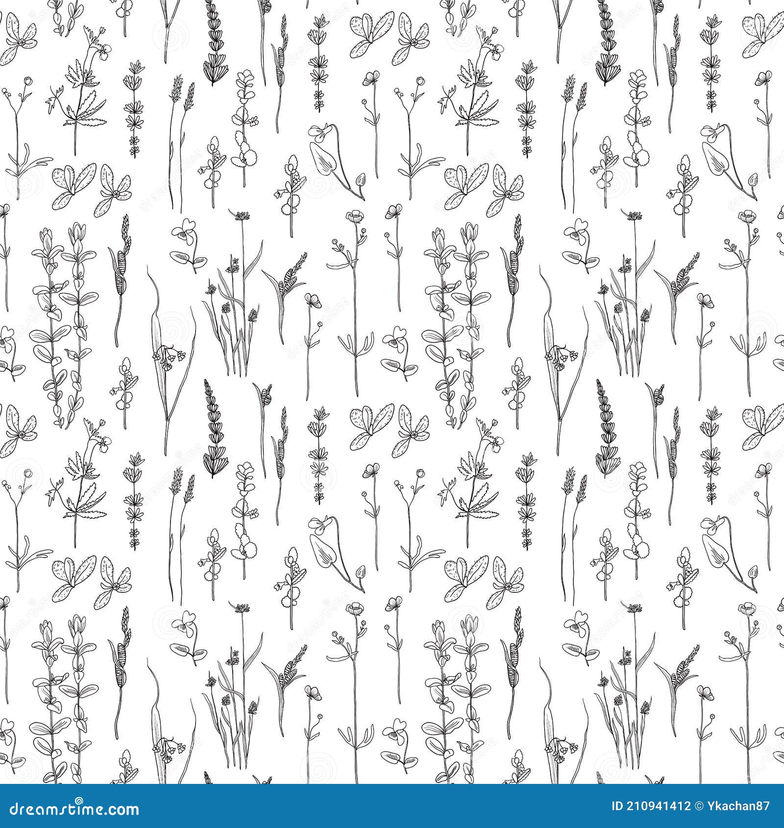 Seamles Pattern with Outline Black and White Meadow Plants. Stock ...