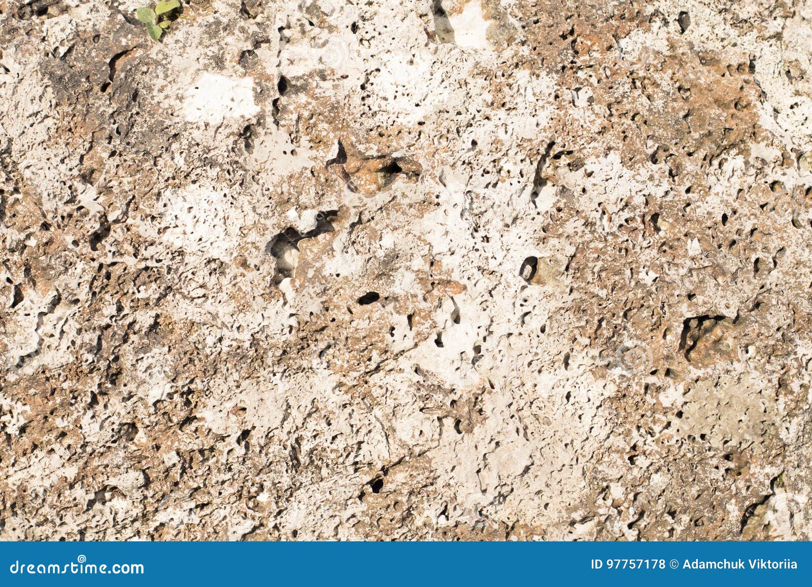 Seamless Abstract Backgroun. the Cellular Texture of the Concrete Stock ...