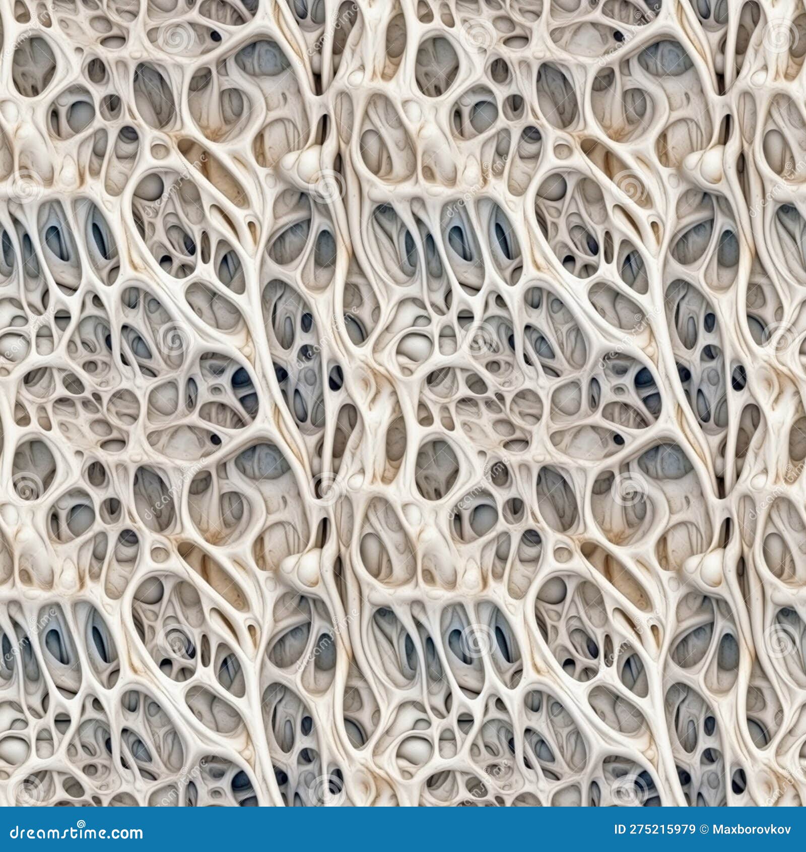 White Bone Human Female Skull With Teeth And Black Background Medical ...