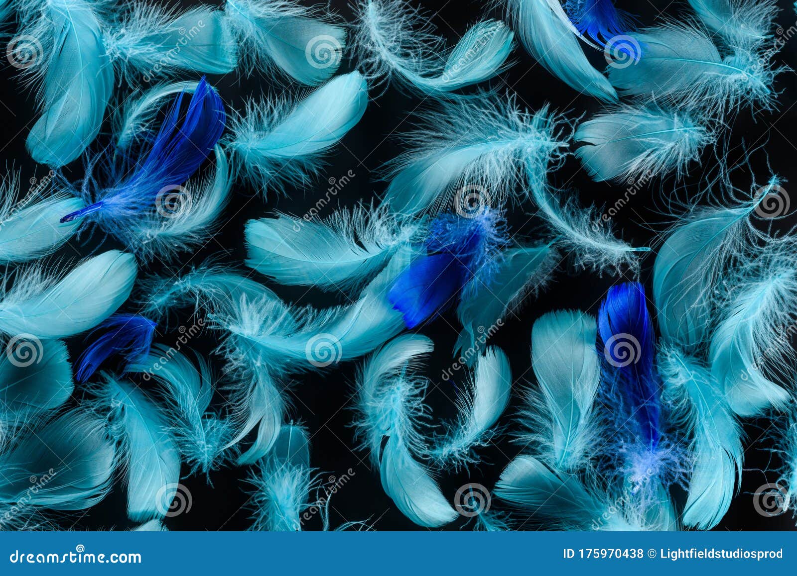 Seamless Background with Bright Multicolored Blue Feathers Isolated on ...