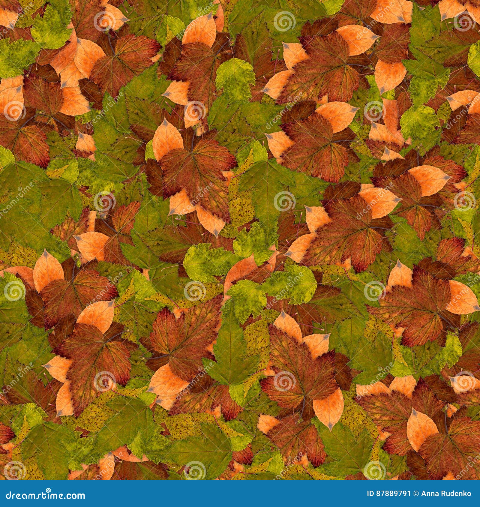 Seamless Background with Bright Multicolored Leaves of Raspberry Stock ...