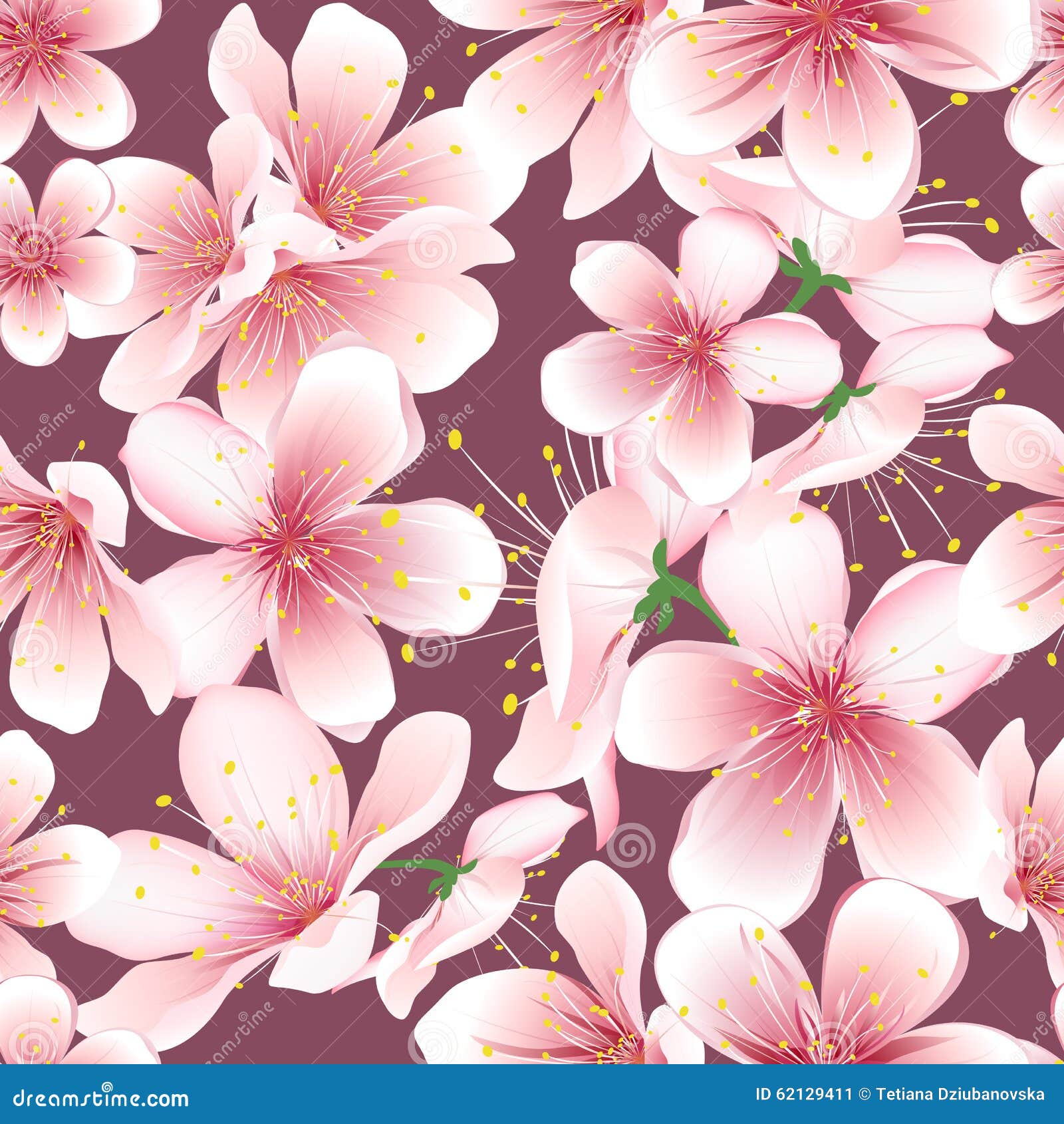 Seamless Background of Cherry Blossom. Stock Vector - Illustration of ...