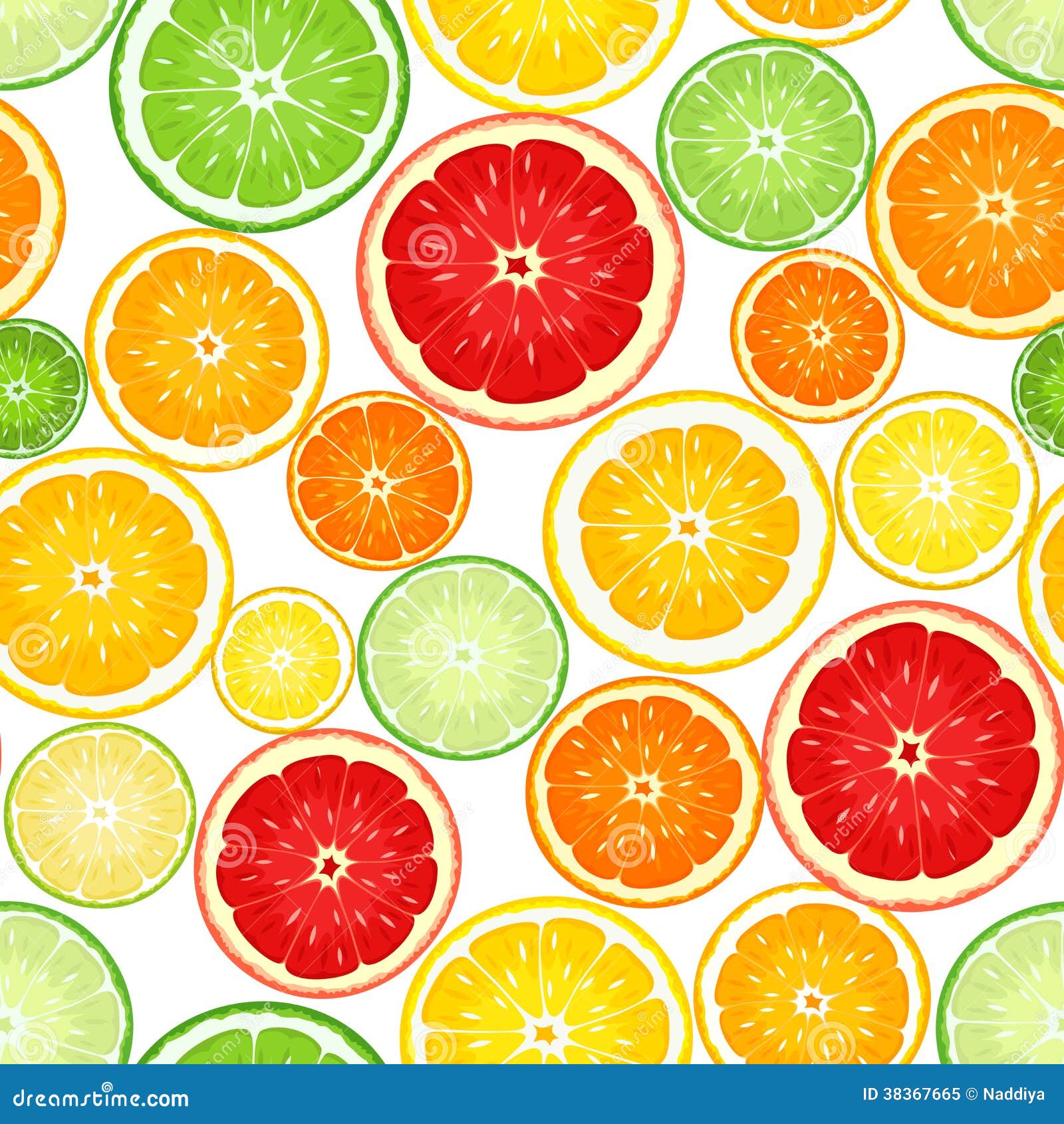 Citrus Fruits Design Templete. Hand Drawn Vector Colour Fruit ...
