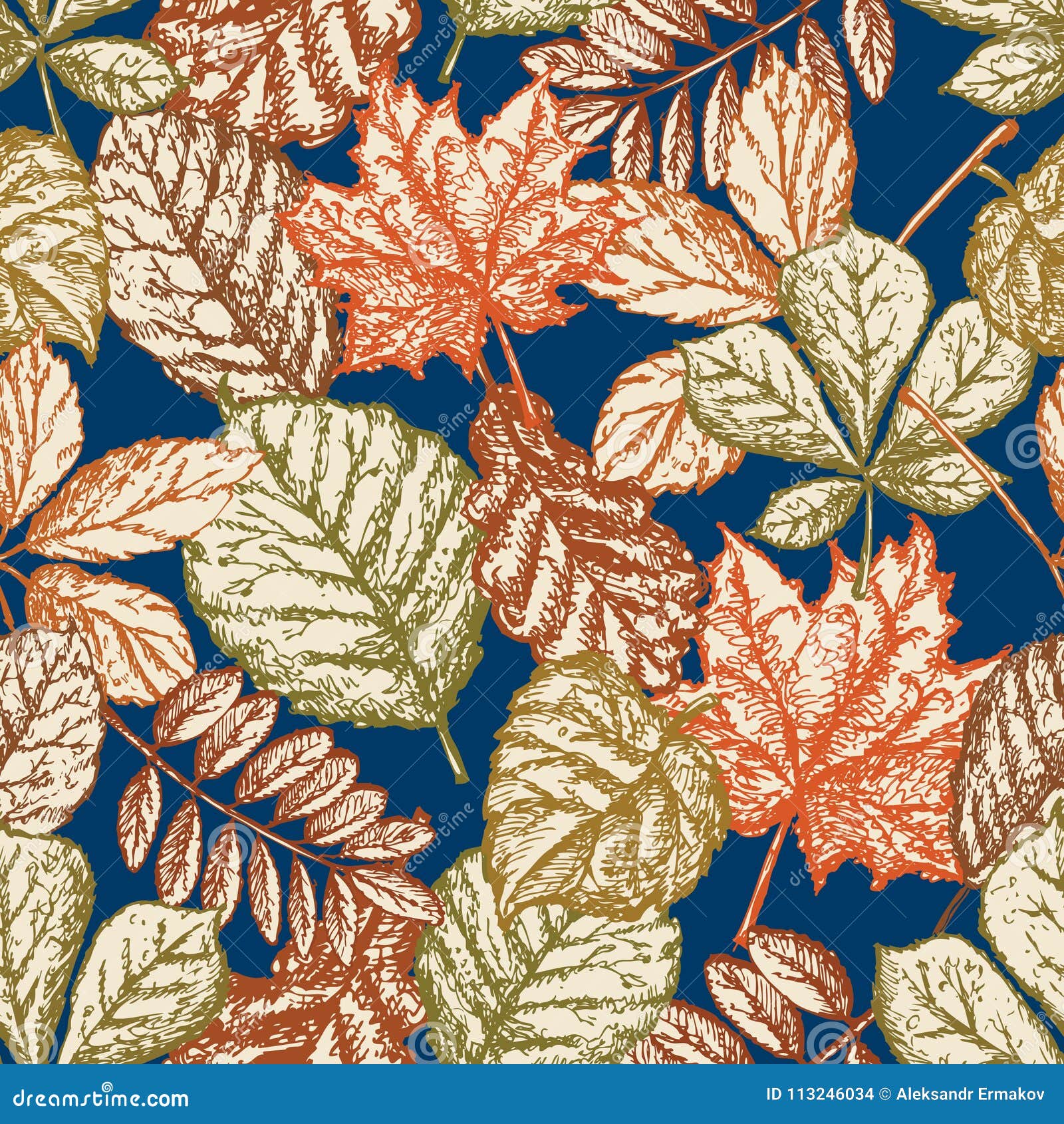 Pattern of Autumn Leaves of Different Deciduous Trees Stock Vector ... Pattern of Autumn Leaves of Different Deciduous Trees Stock Vector ...