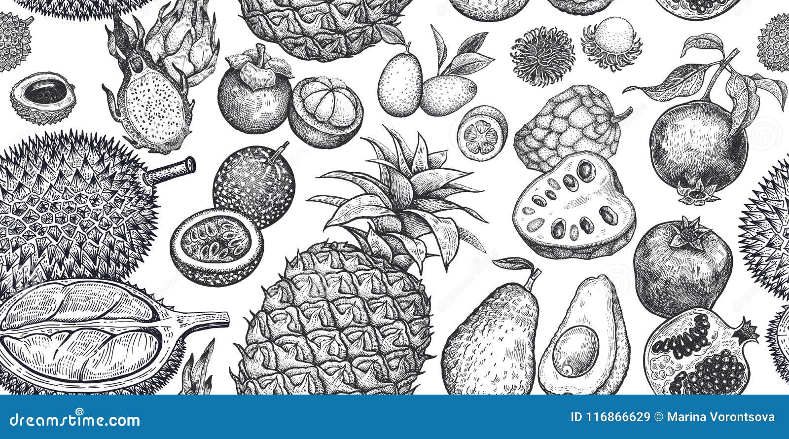 Seamless Background with Exotic Fruits. Stock Vector - Illustration of ... Seamless Background with Exotic Fruits. Stock Vector - Illustration of ...