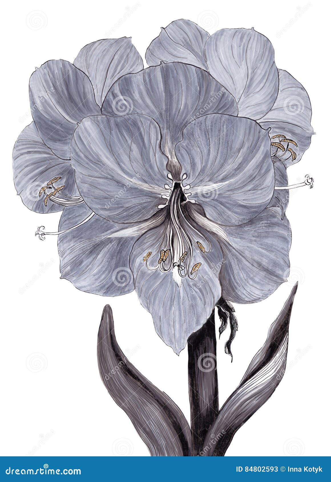 Seamless Background. Flowers - Amaryllis. Drawing Ink. Wallpaper. Stock ...