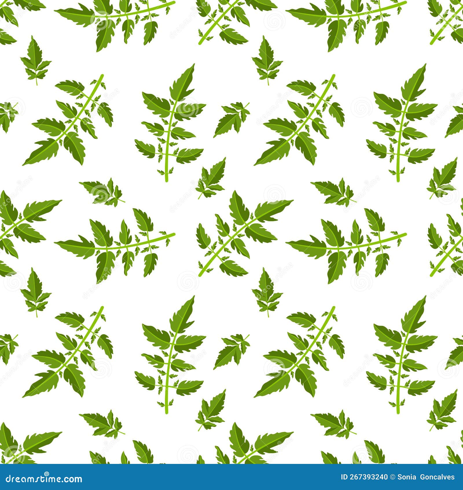 Seamless Background Of Green Tomato Leaves Vector Illustration ...