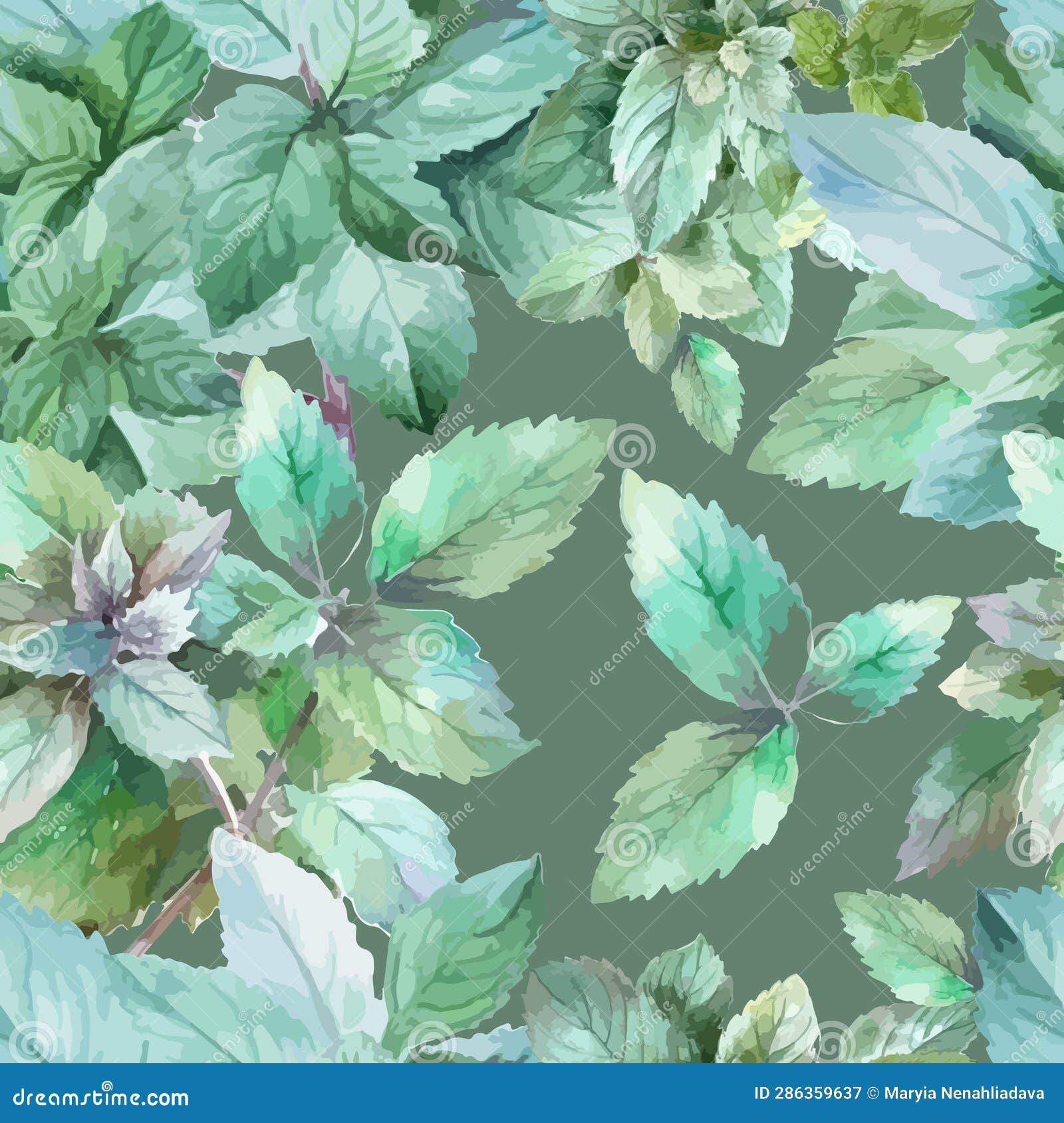 Watercolor Mint Leaves Seamless Pattern. Vector Illustration Stock ...