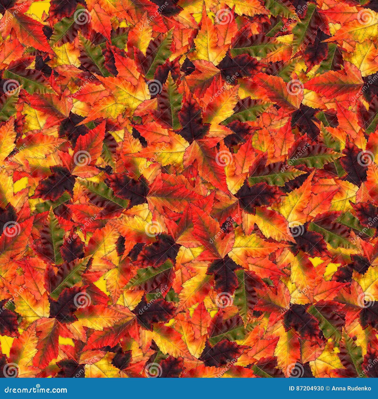 Seamless Background with Multicolored Maple Leaves Stock Photo - Image ...