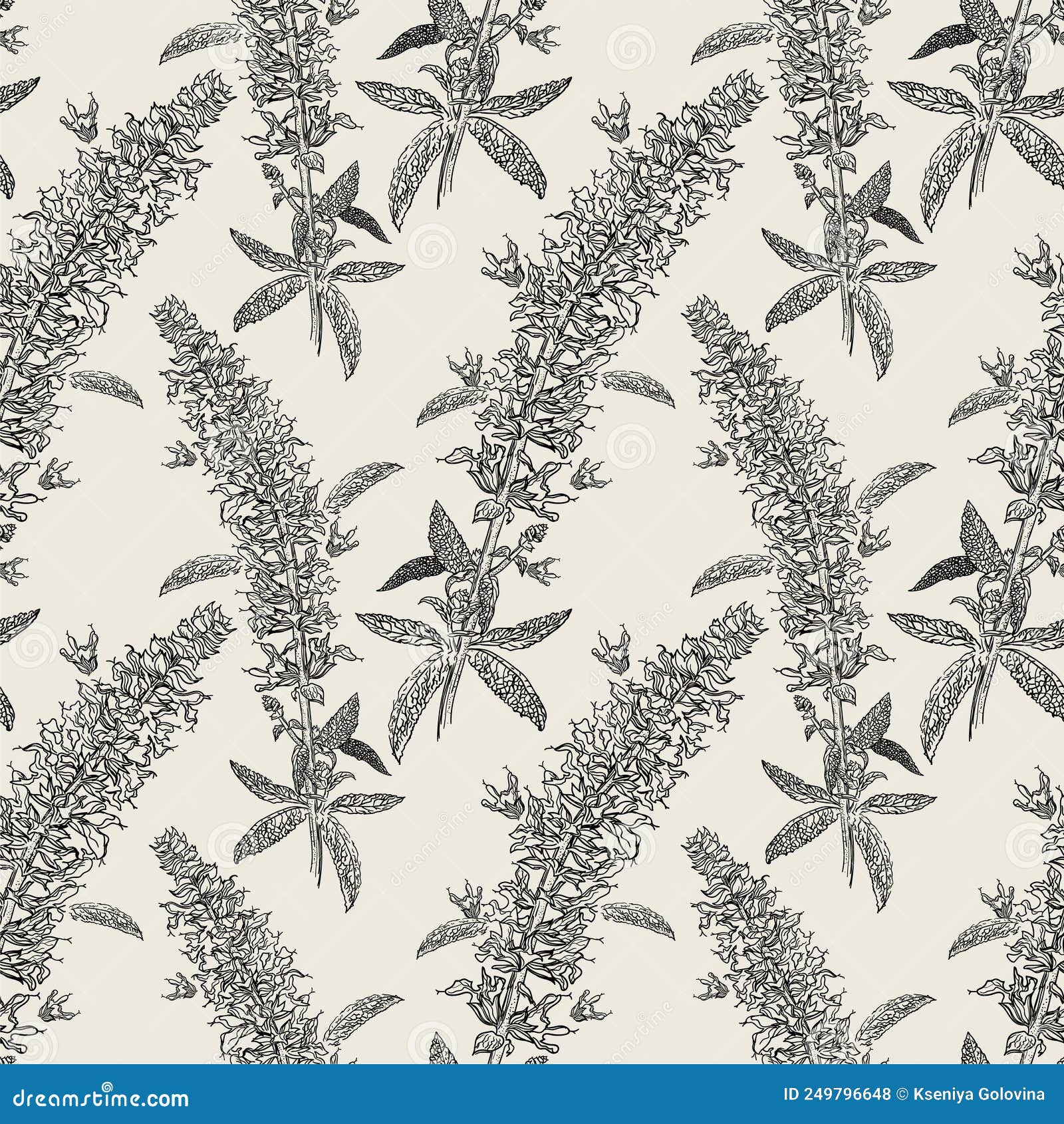 Seamless Background with Painted Monochrome Plants of Sage. Print ...