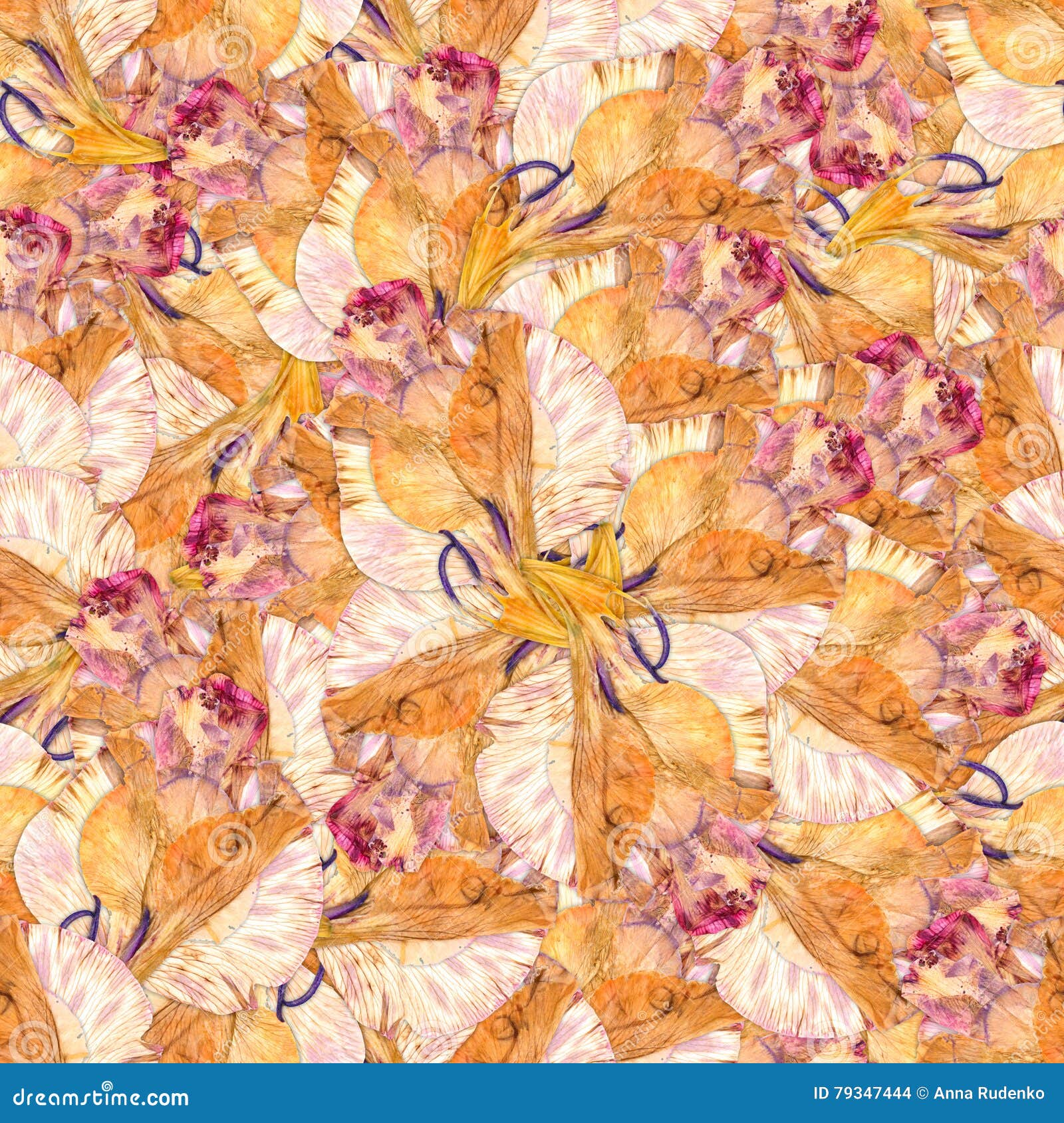 Seamless Background Pattern Texture Made of Iris Stock Photo - Image of ...