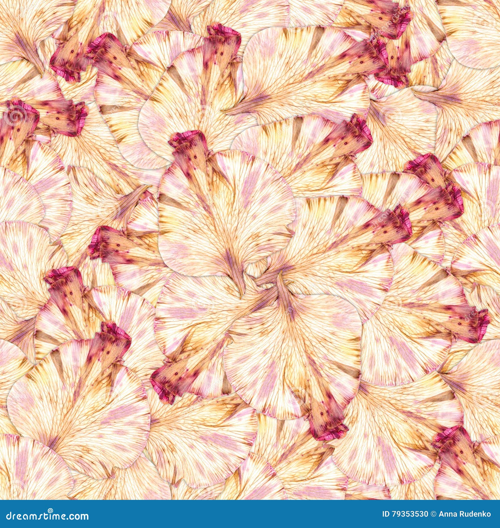 Seamless Background Pattern Texture Made of Iris Stock Photo - Image of ...