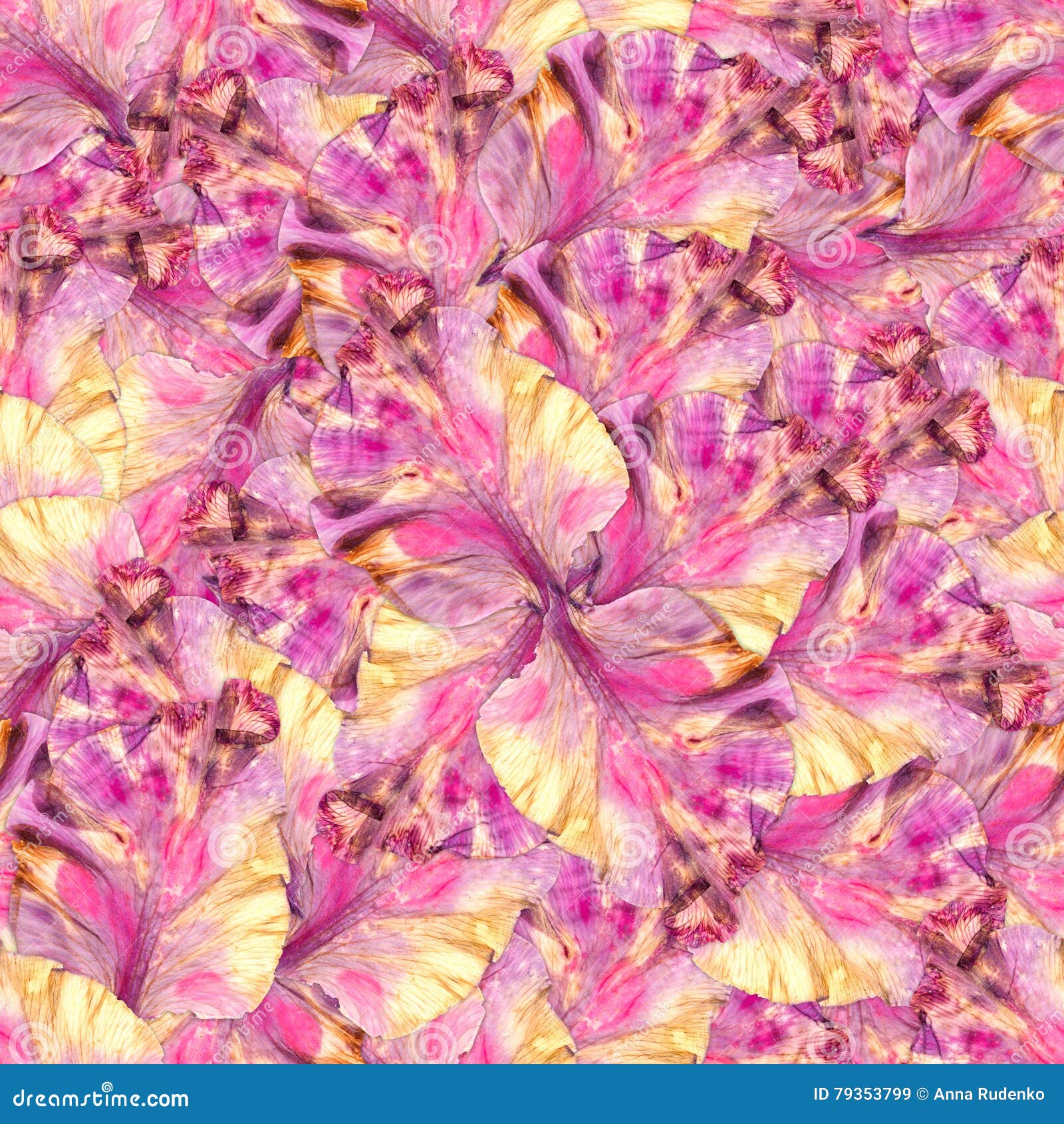 Seamless Background Pattern Texture Made of Iris Stock Image - Image of ...