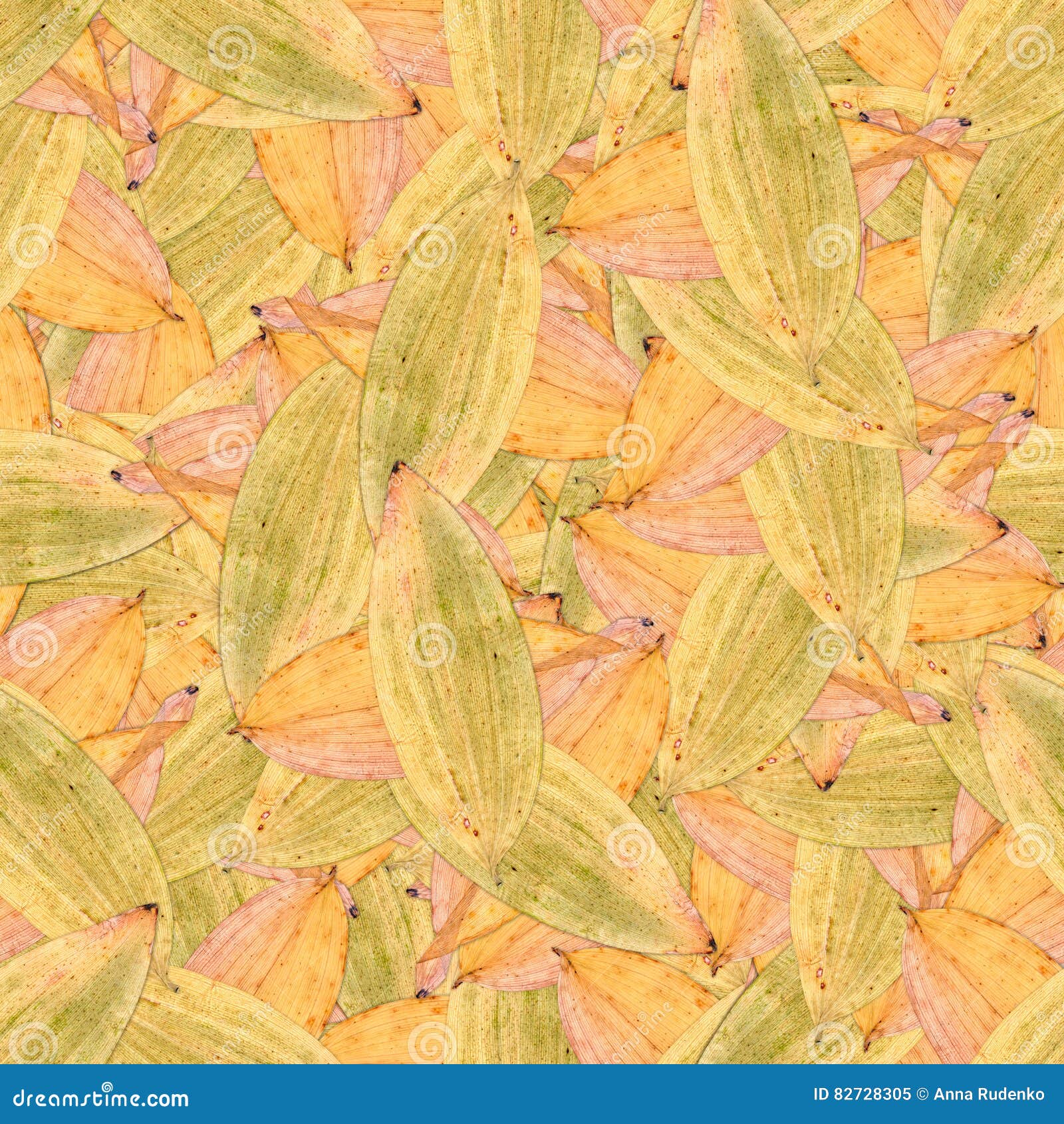 Seamless Extruded Polystyrene Texture, White Styrofoam Surface, High ...