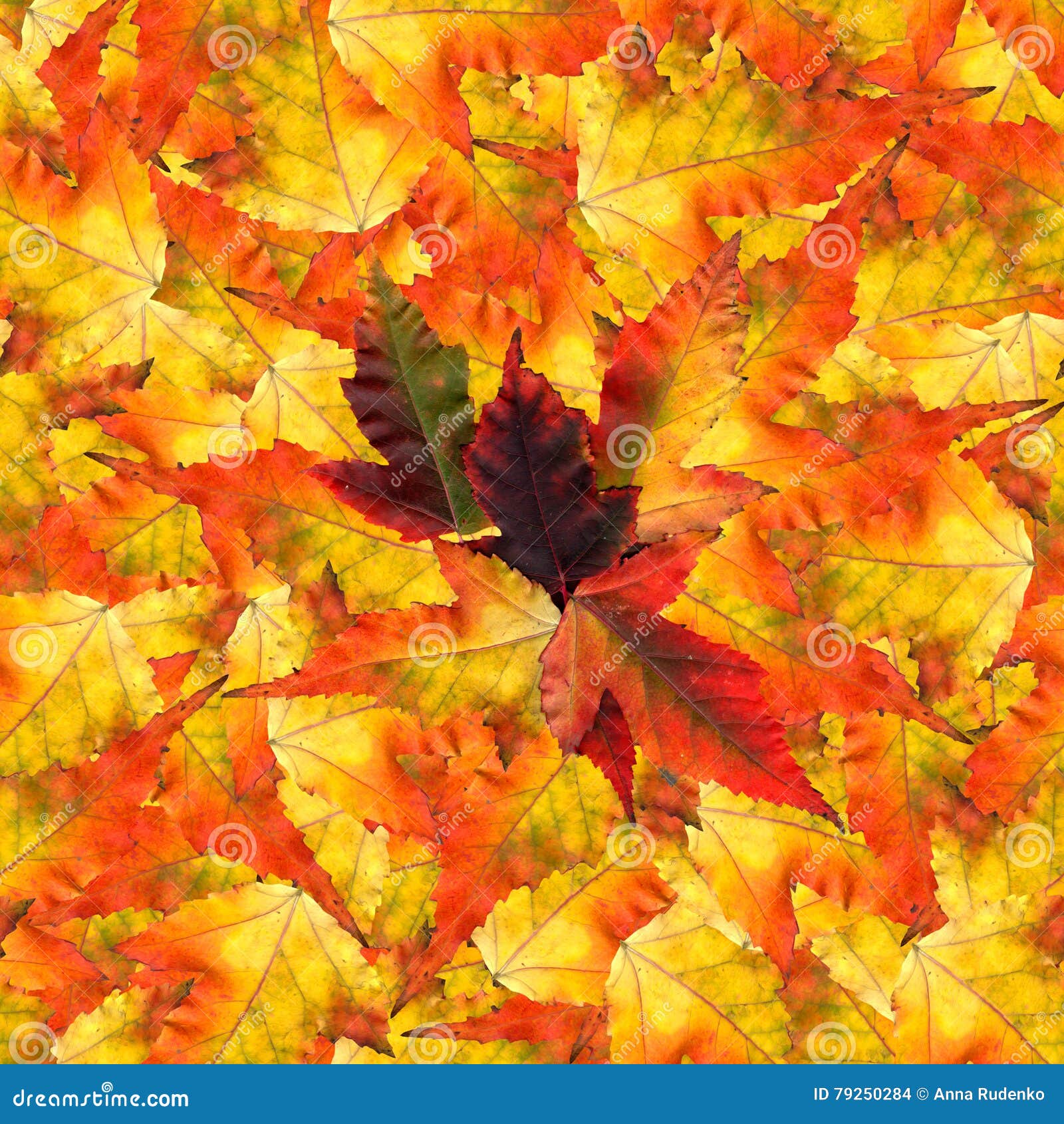 Seamless Background Pattern Texture Made of Maple Leaves Stock Photo ...