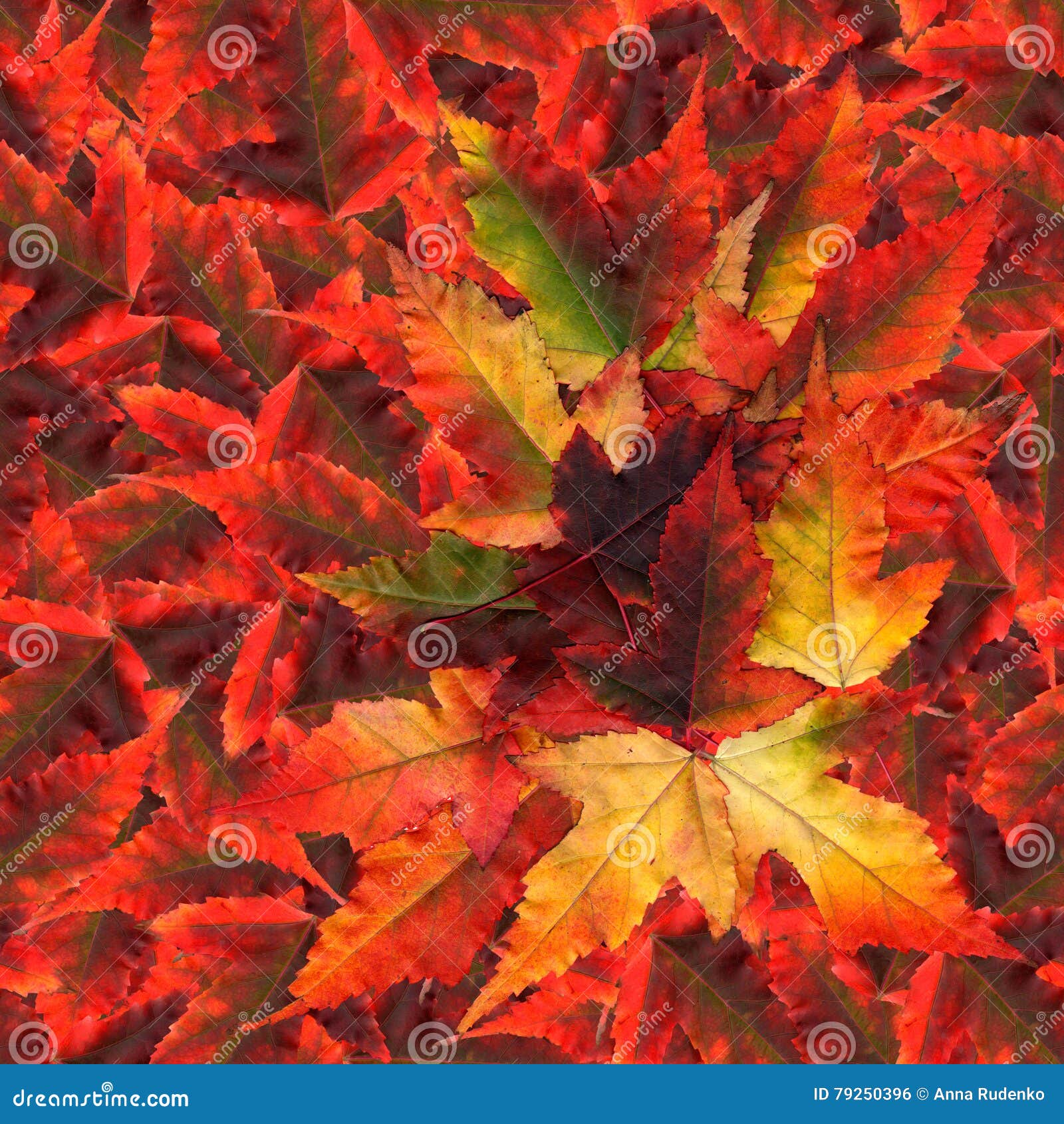 Seamless Background Pattern Texture Made of Maple Leaves Stock Photo ...