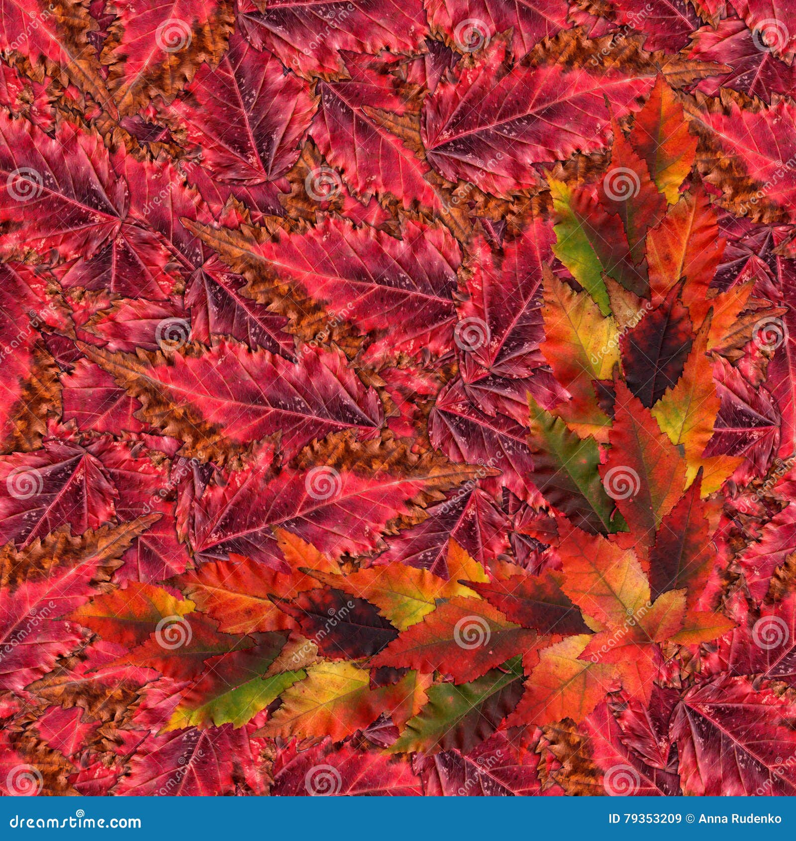 Seamless Background Pattern Texture Made of Maple Leaves Stock Image ...