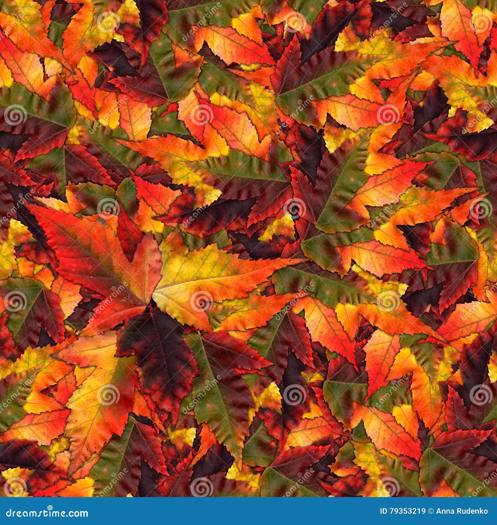 Seamless Background Pattern Texture Made of Maple Leaves Stock Image ...