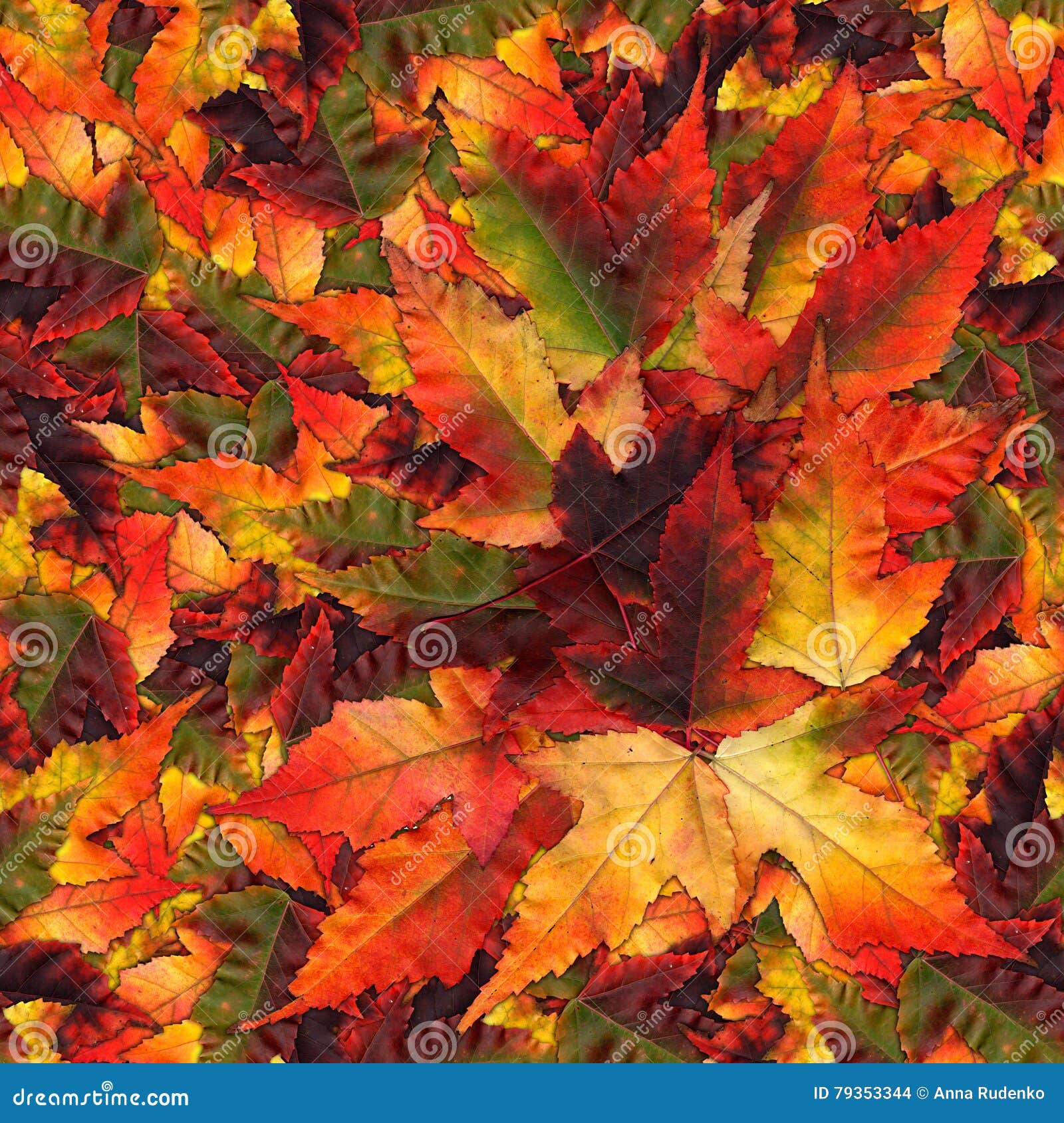 Seamless Background Pattern Texture Made of Maple Leaves Stock Photo - Image of decorative ...