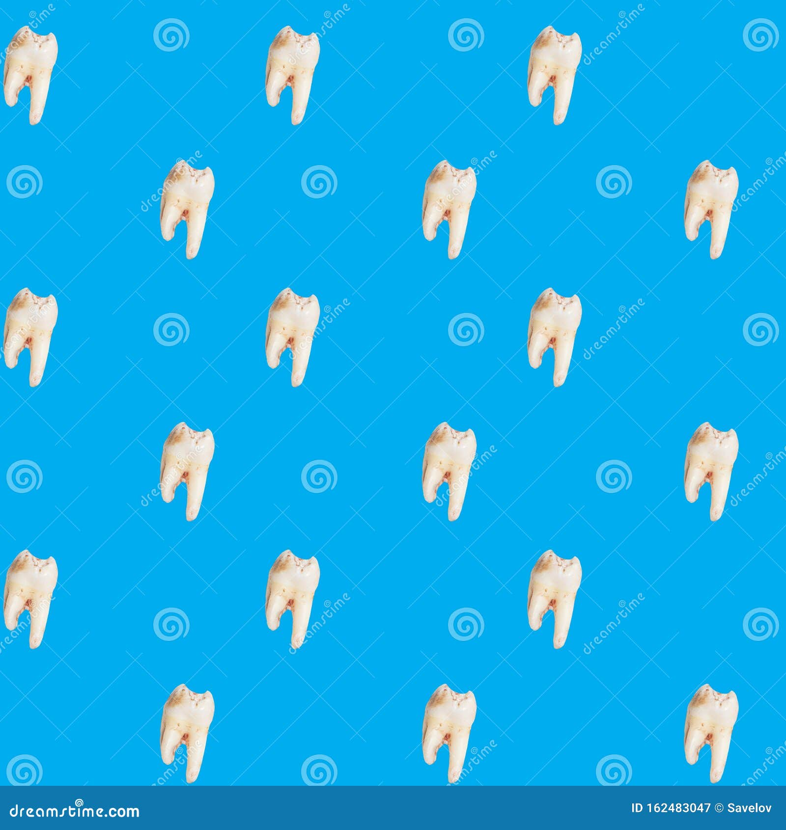 Seamless Background with Real Torn Teeth on Blue Color Stock Image ...