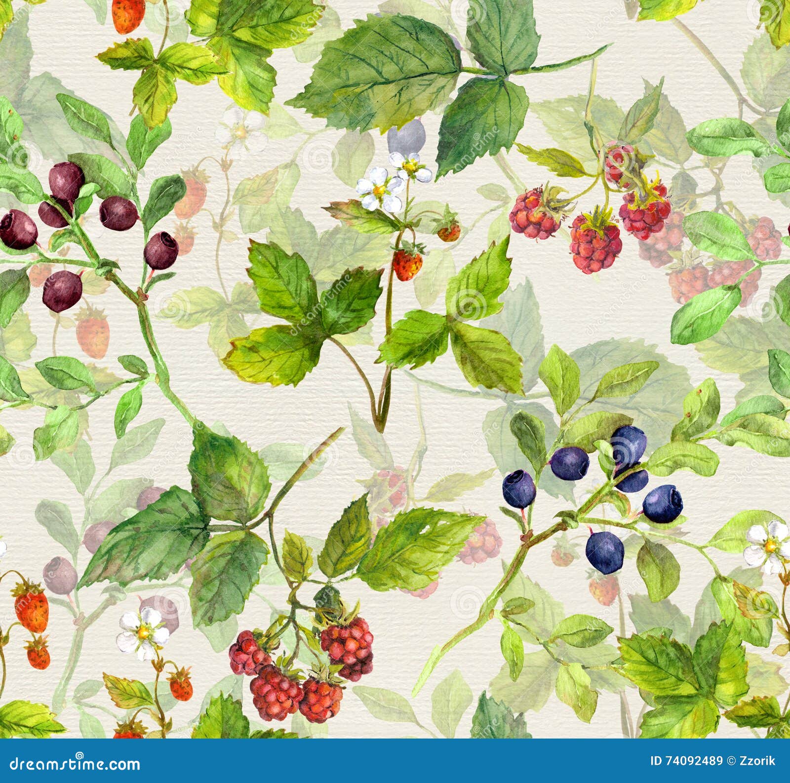 Seamless Background - Repeating Pattern with Wild Herbs and Berries ...