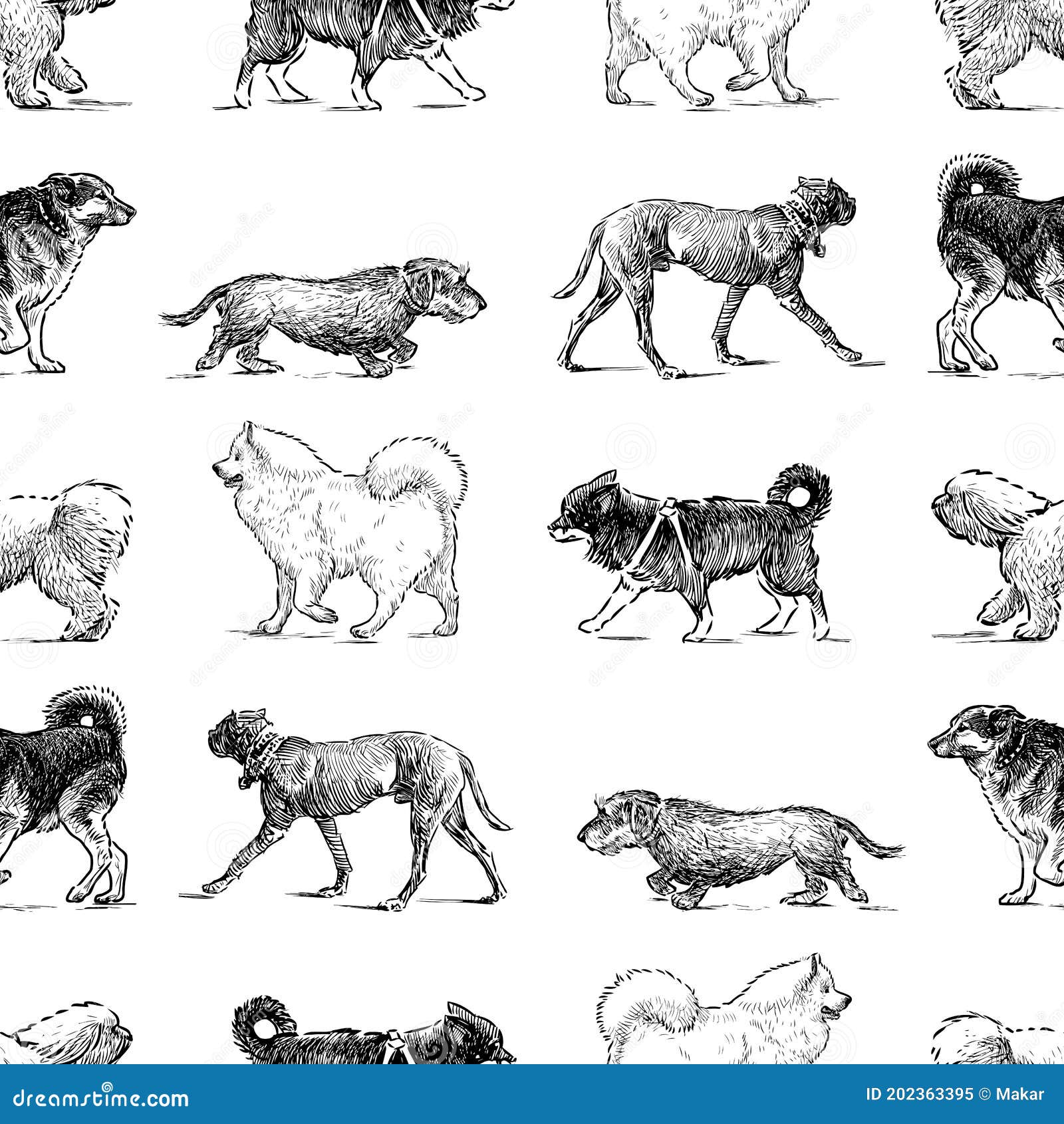 Seamless Background of Sketches Various Walking Dogs Stock Vector ...