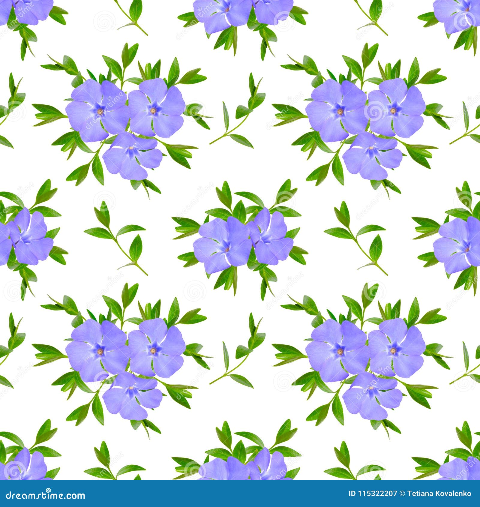 Vinca Cartoons, Illustrations & Vector Stock Images - 887 Pictures to ...