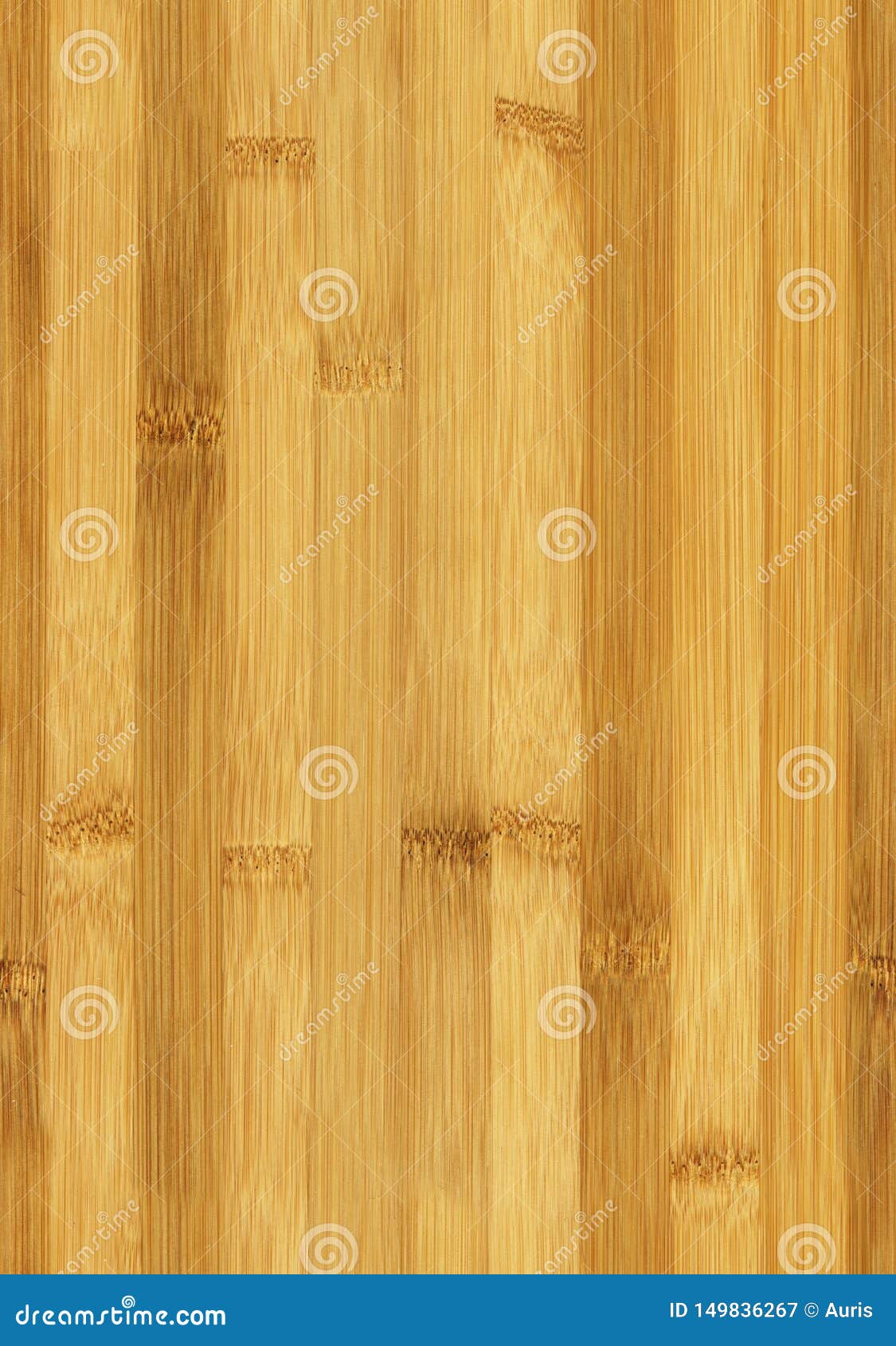 Seamless Bamboo Texture Stock Image | CartoonDealer.com #149836267