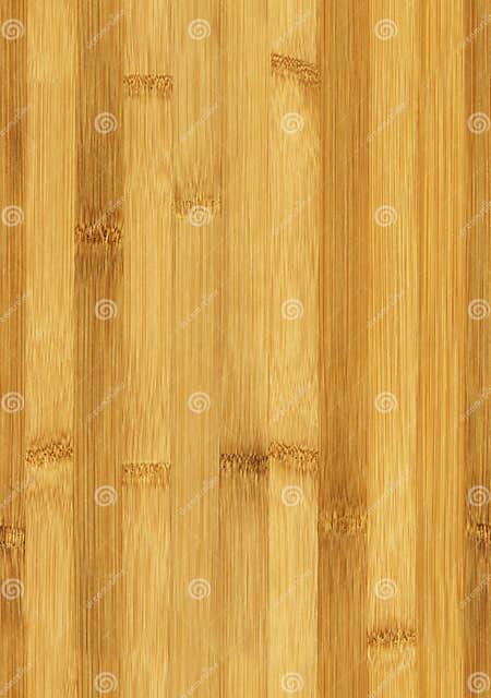 Seamless bamboo texture stock image. Image of bamboo - 149836267