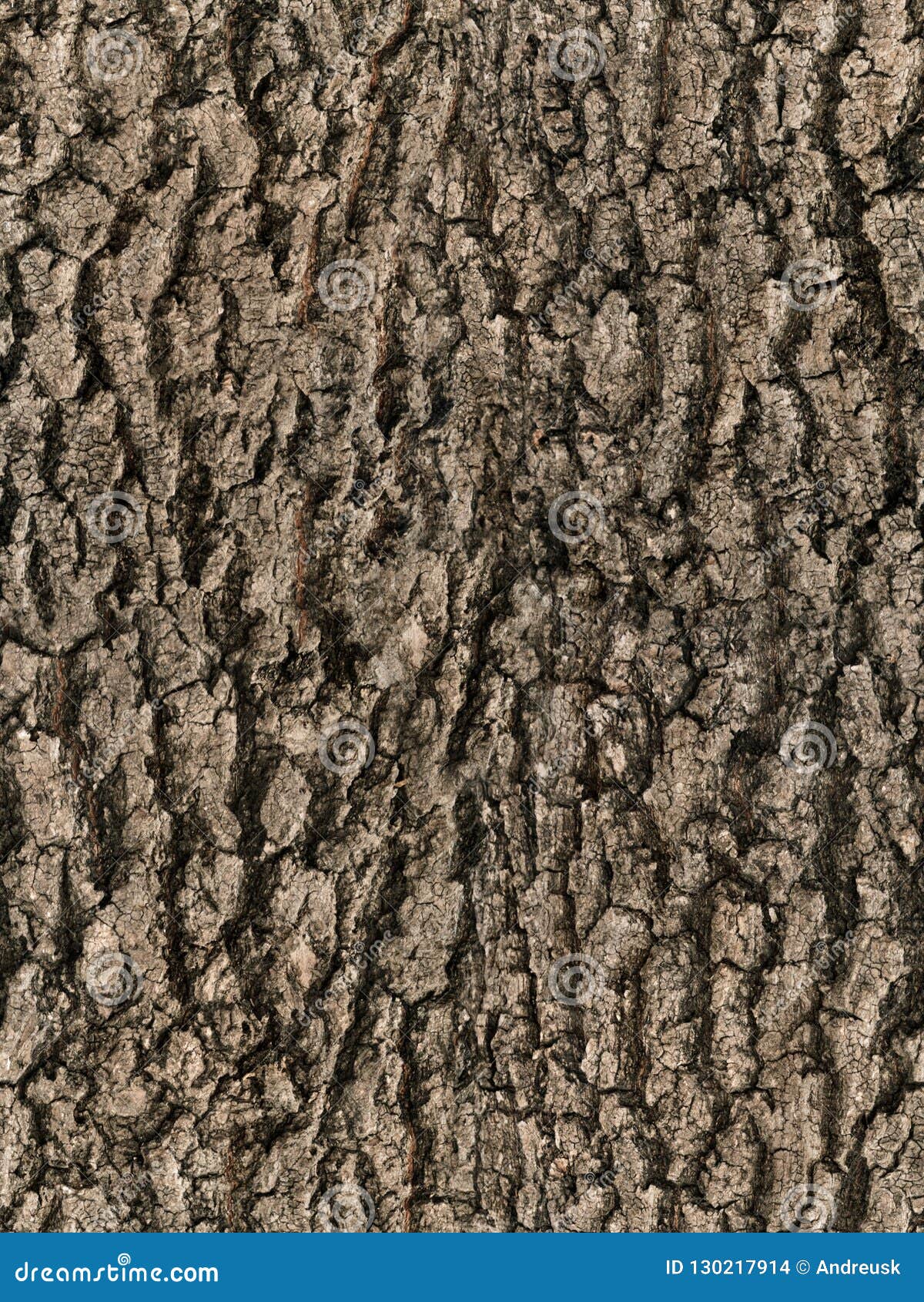 Seamless bark tree texture stock photo. Image of tree - 130217914