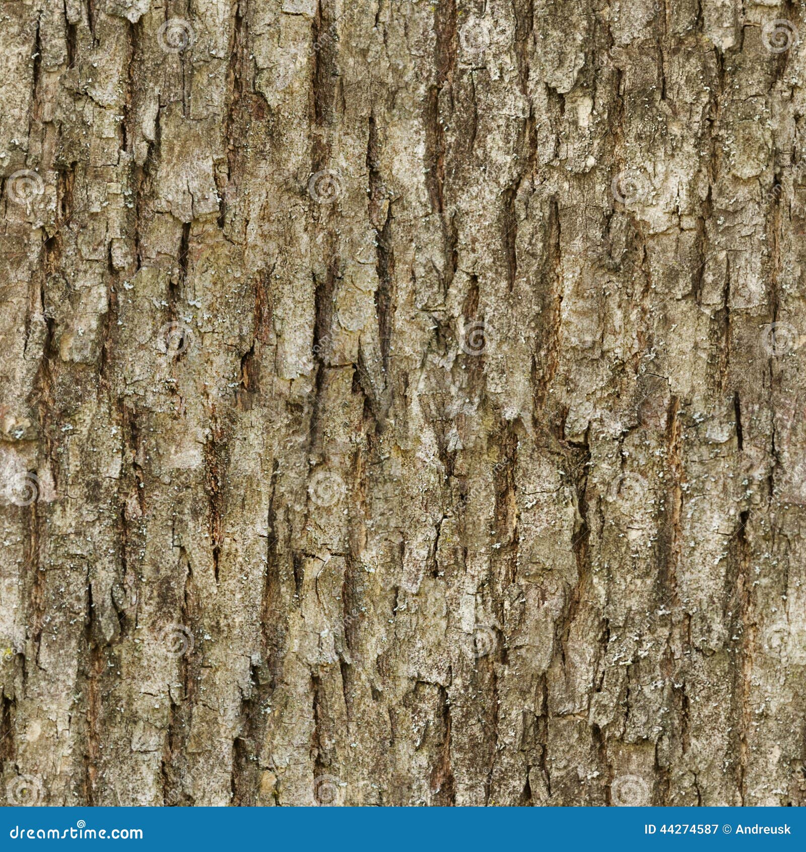 Seamless Bark Substrate Texture Royalty-Free Stock Photography ...