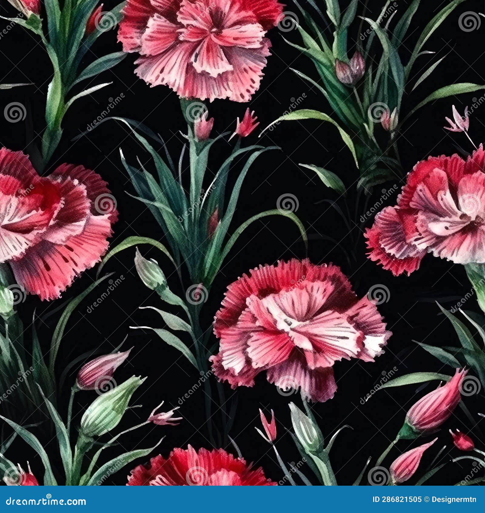 Seamless Beautiful Watercolor Dianthus Flowers Pattern Stock ...