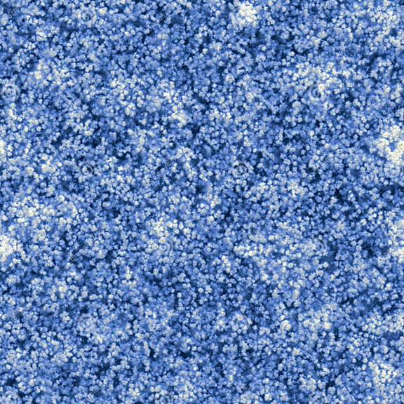 Seamless Blue Carpet Pattern Stock Photo - Image of colorful, design ...