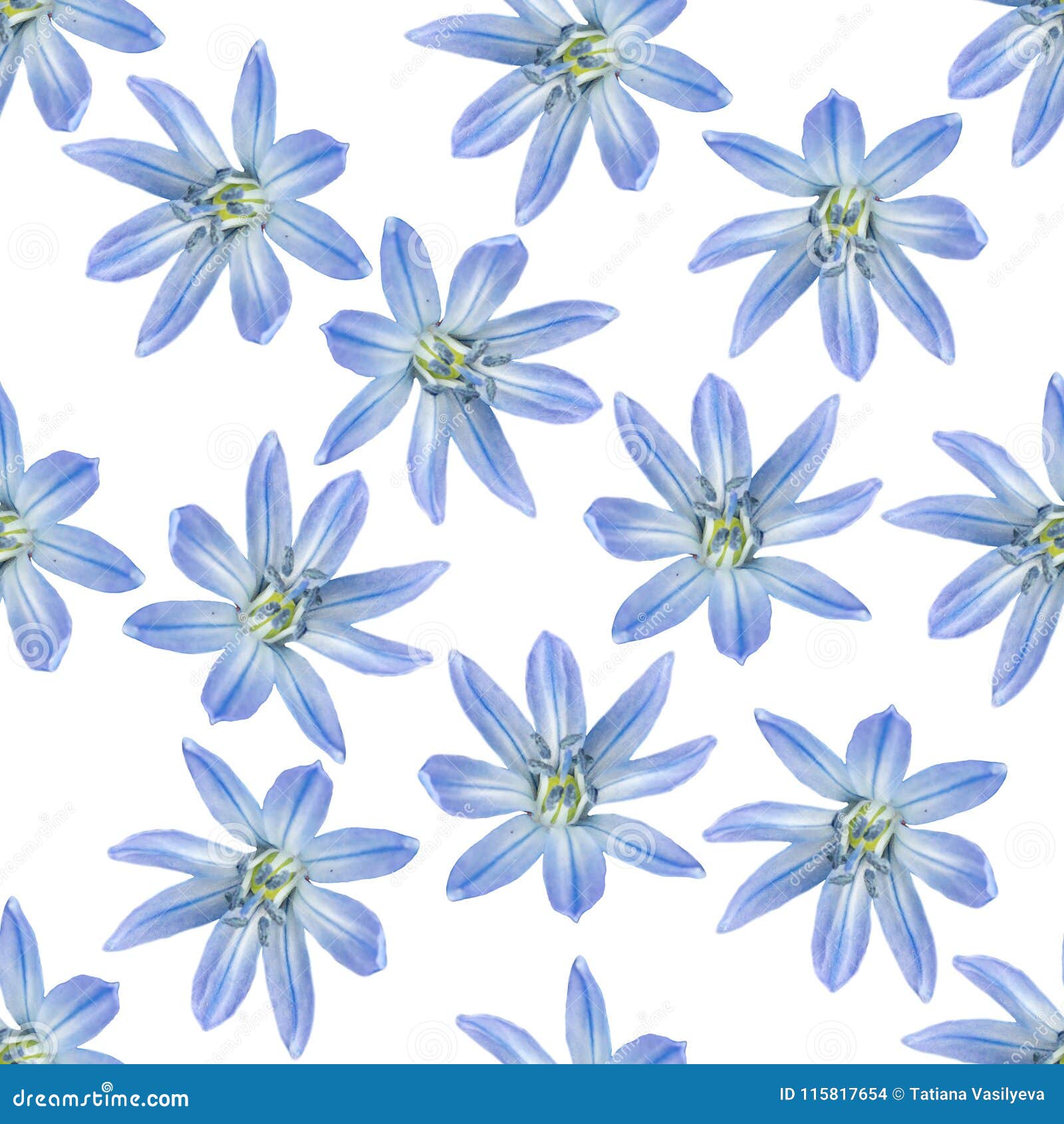 Seamless Blue Flowers Pattern Stock Illustration - Illustration of ...