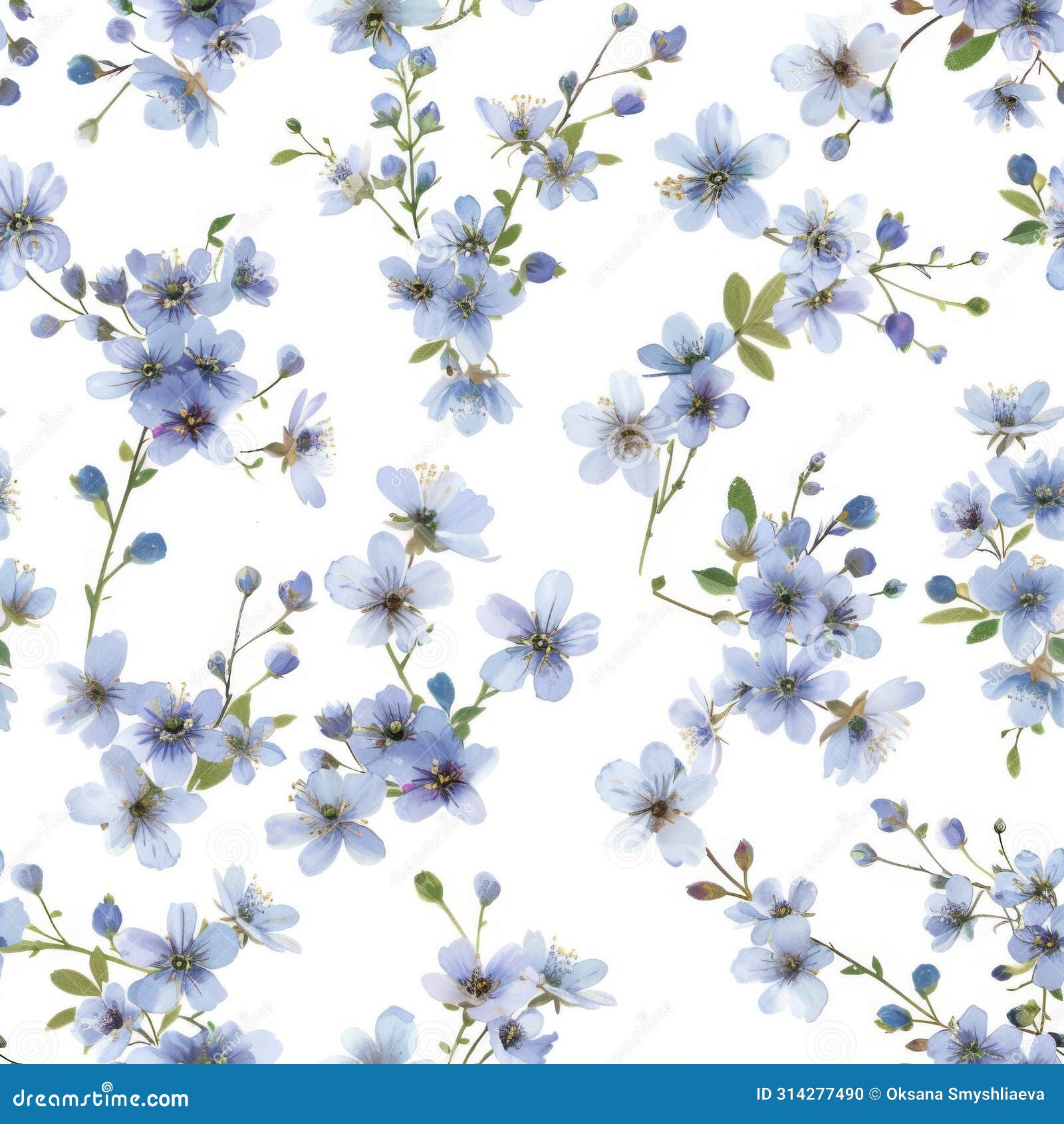 Seamless Blue Wildflower Pattern on White Background. Stock Photo ...