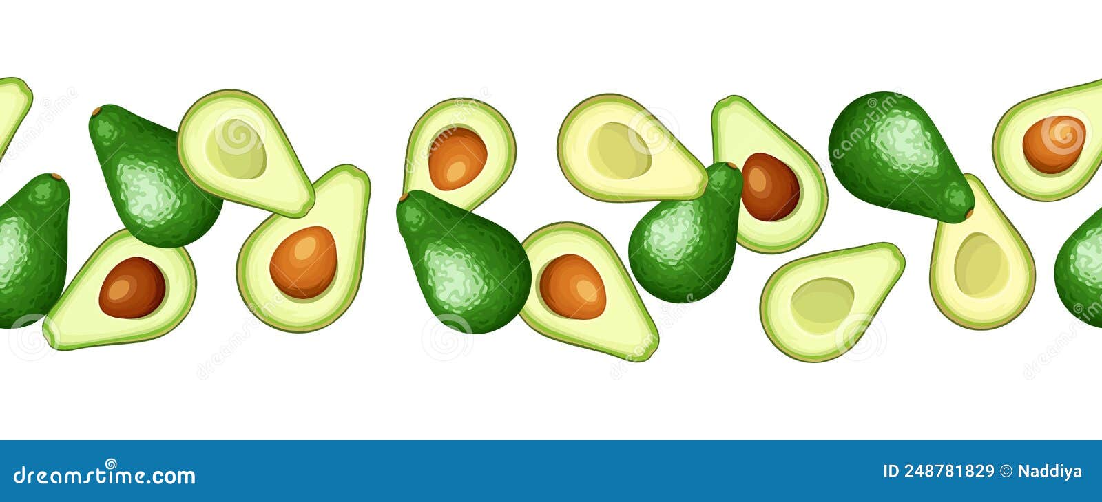 Seamless Border with Avocado Fruit. Vector Illustration Stock Vector ...