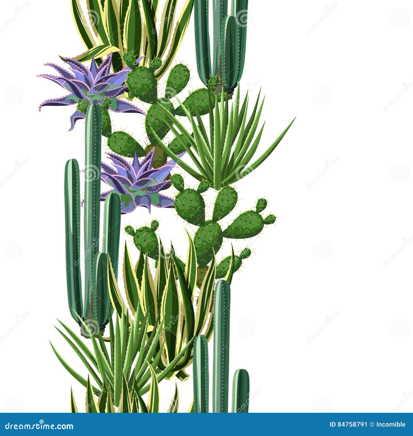 Seamless Border with Cactuses and Succulents Set. Plants of Desert ...