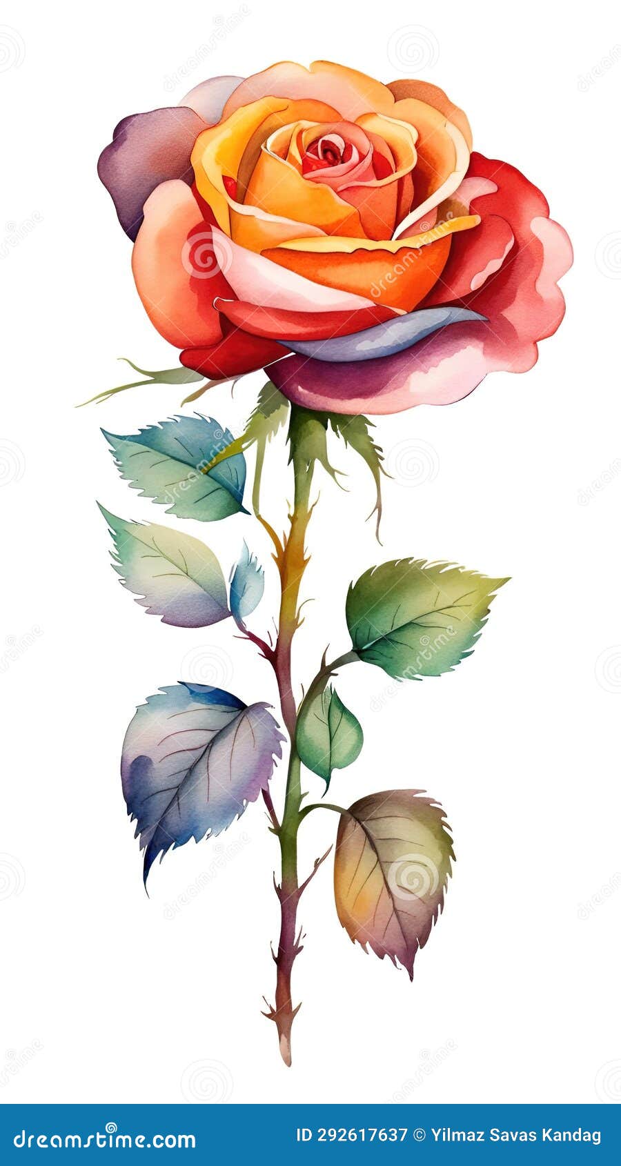 Seamless Border with Colorful Roses. Vector Illustration Stock ...
