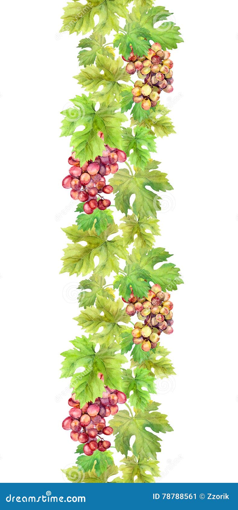 Seamless Border with Grape and Leaves. Watercolor Frame Stock ...